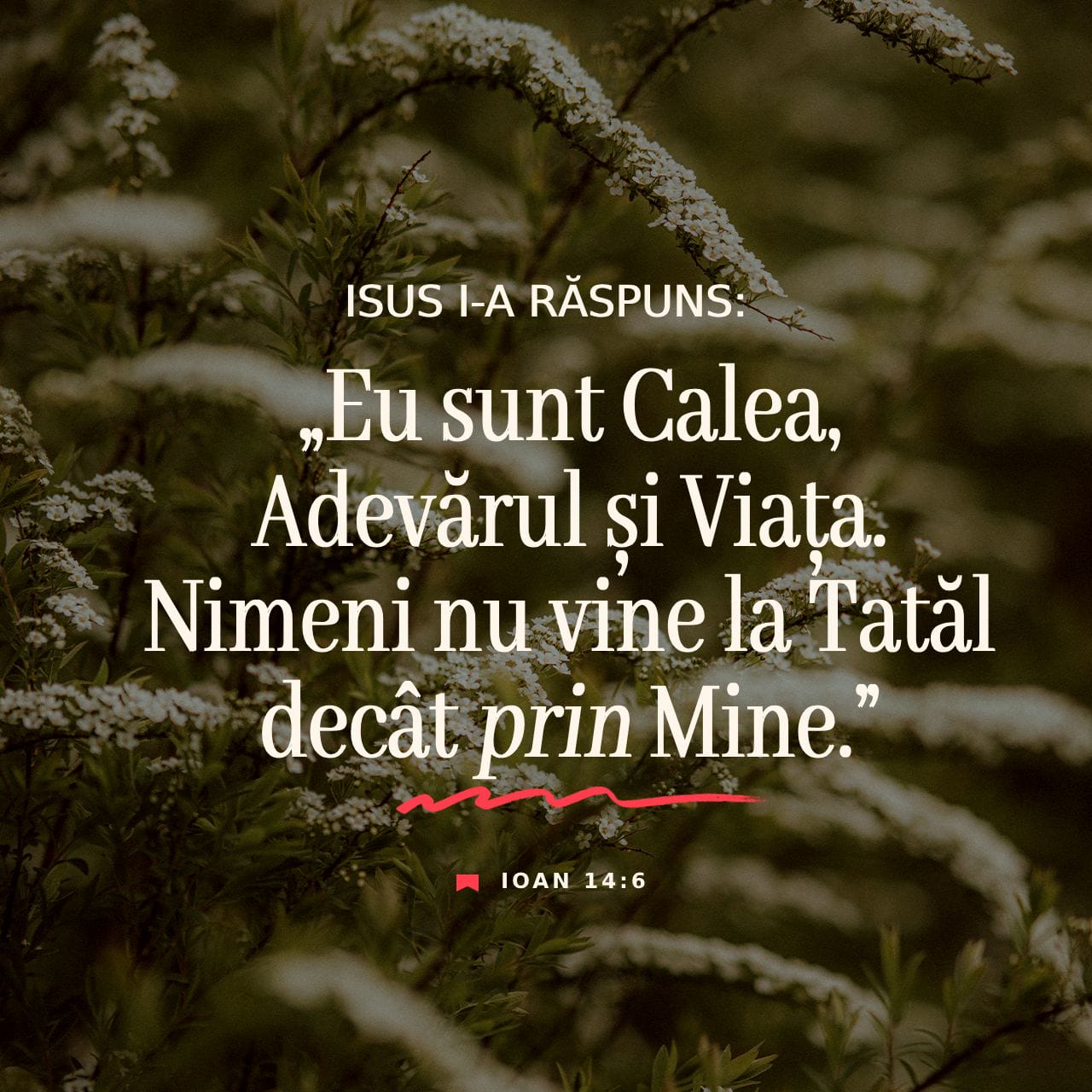 Ioan 14:6-21 (VDC) - Isus i-a zis: „Eu sunt Calea, Adevă | YouVersion