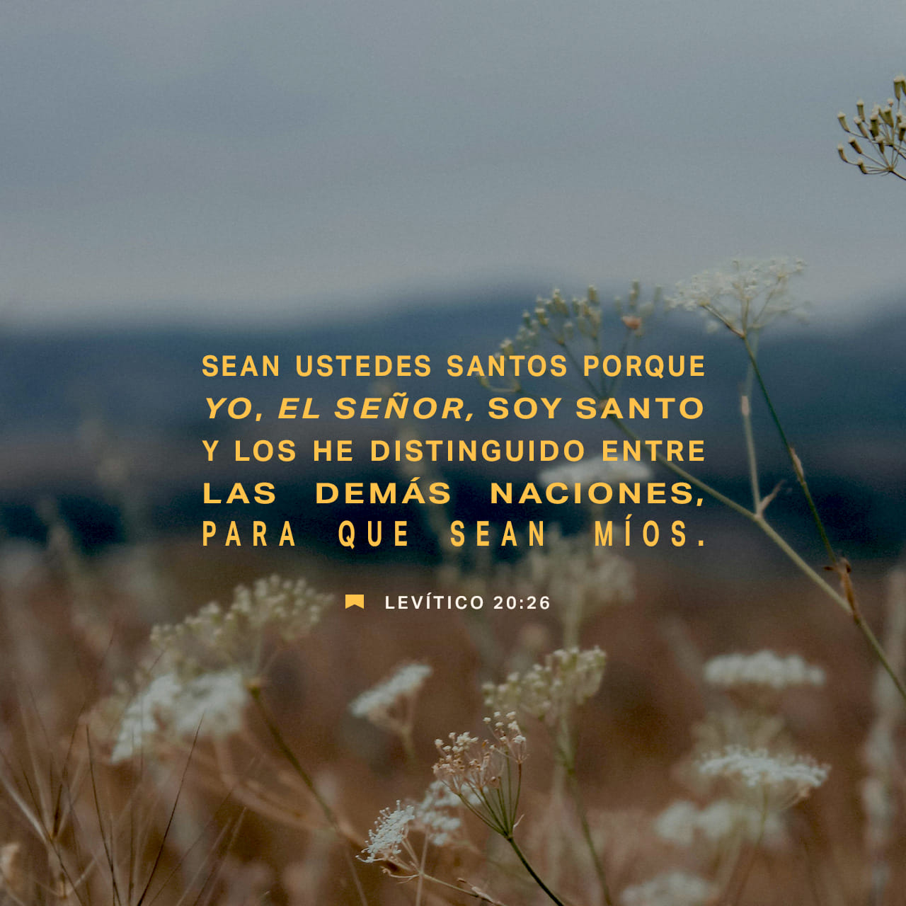 Levítico 20:25-27 »Yo soy el Dios de Israel. Yo los aparté de los otros ...