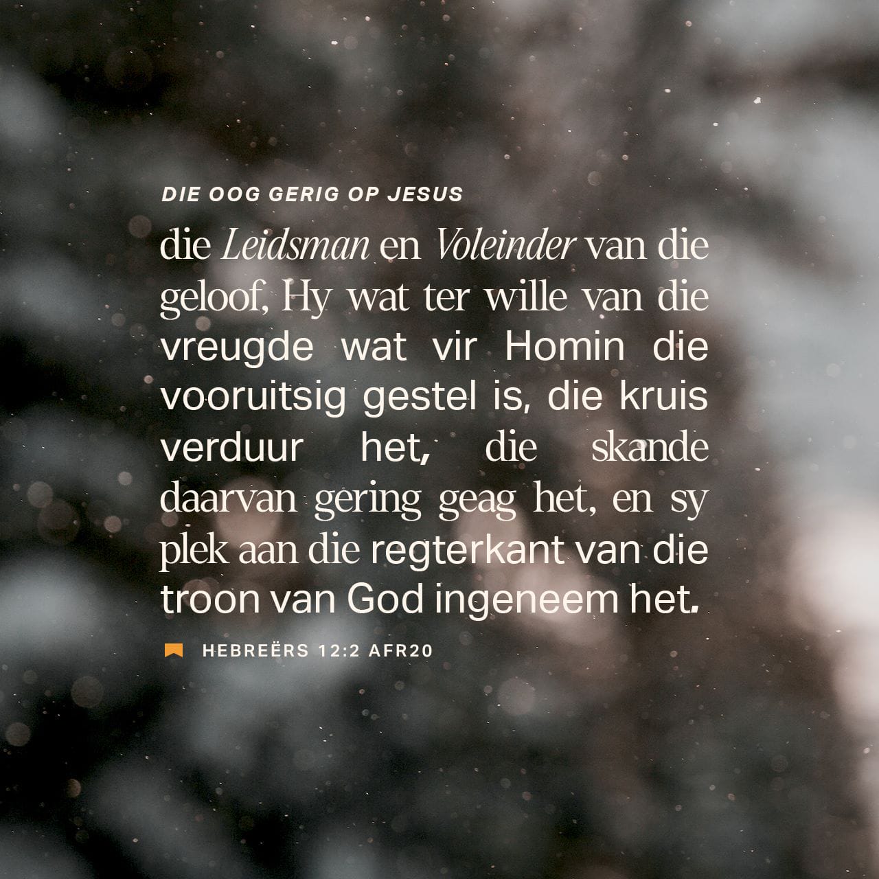 Hebreërs 12:2-4 Laat ons maar net die wedloop hardloop deur op Jesus te ...