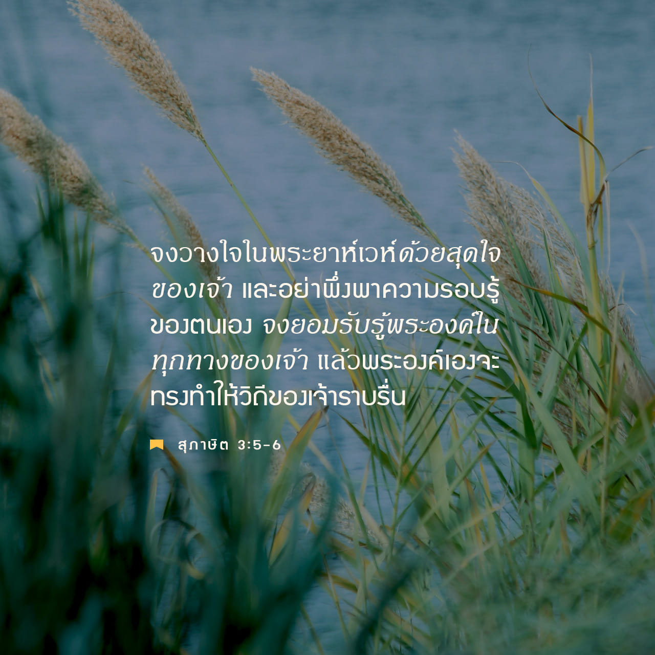 สุภาษิต 3:5-6 จงวางใจในพระเยโฮวาห์ด้วยสุดใจของเจ้า และอย่าพึ่งพาความ ...