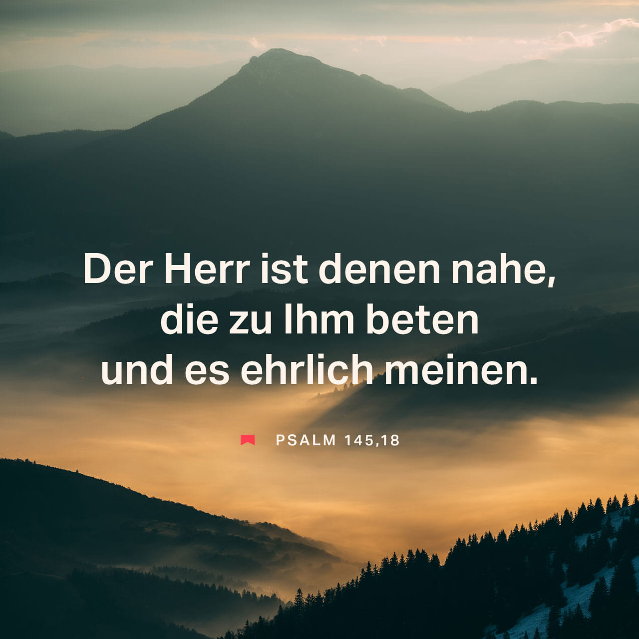 Ehrlichkeit Bibel Zitate Ich Bin In Einer Phase Meines ... Made My