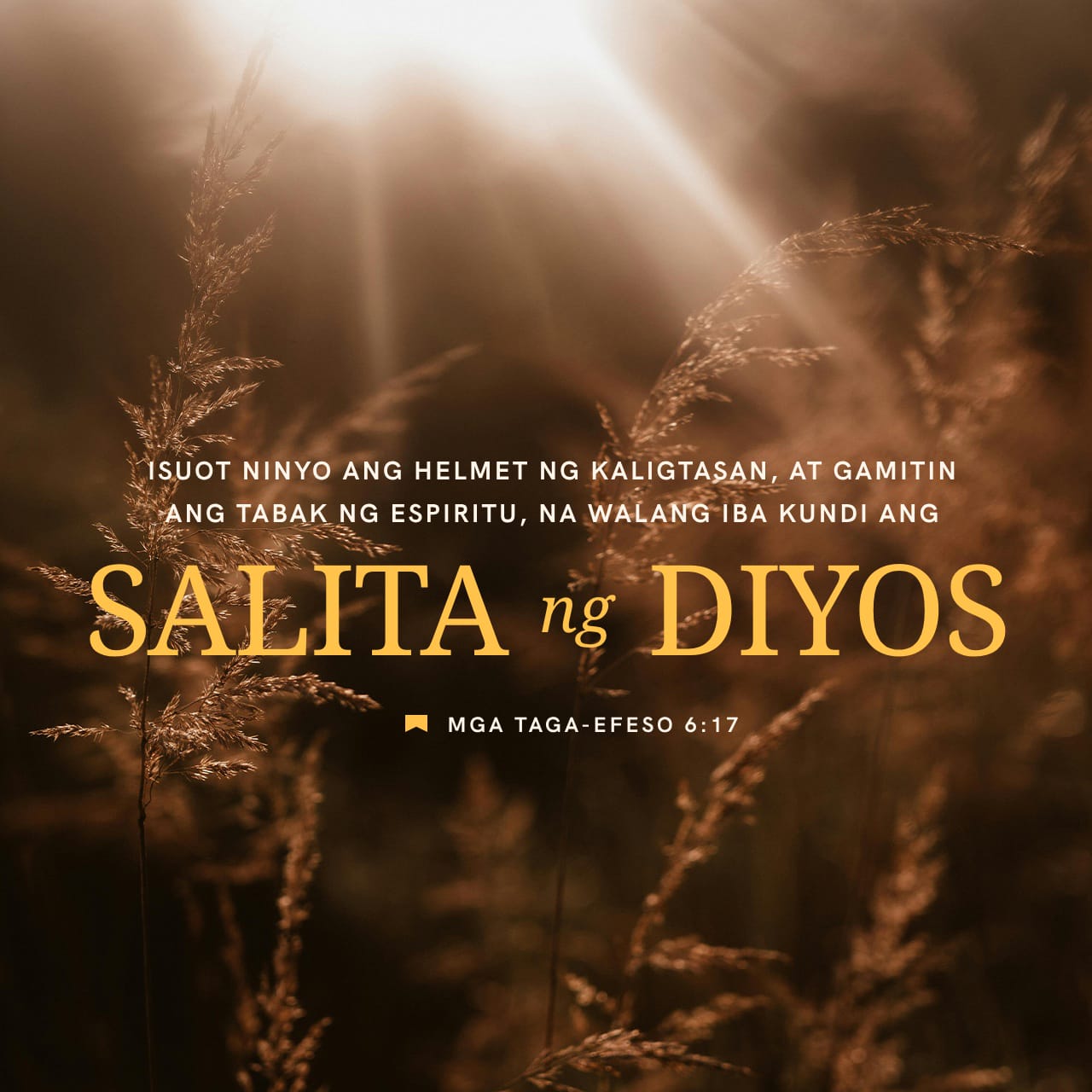 Mga Taga-Efeso 6:13, 17 Kaya't isuot ninyo ang kasuotang pandigma na mula sa Diyos. Sa gayon ...