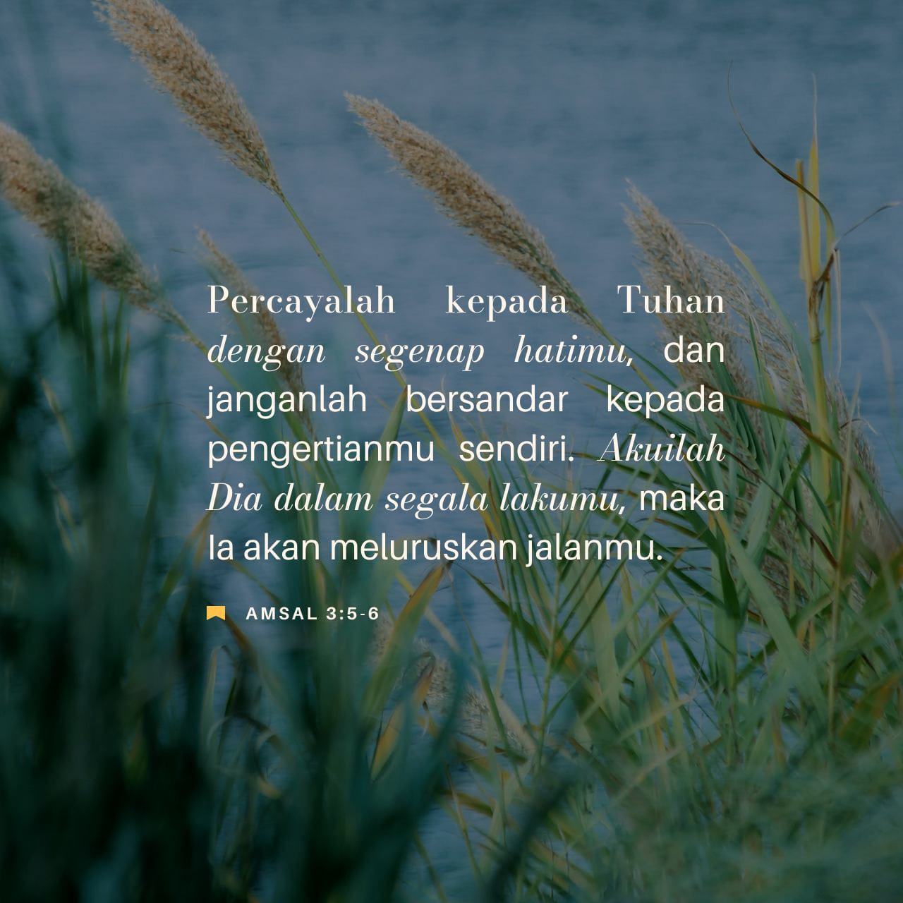 Amsal 3:5-18 Percayalah kepada TUHAN dengan segenap hatimu, dan janganlah bersandar kepada ...