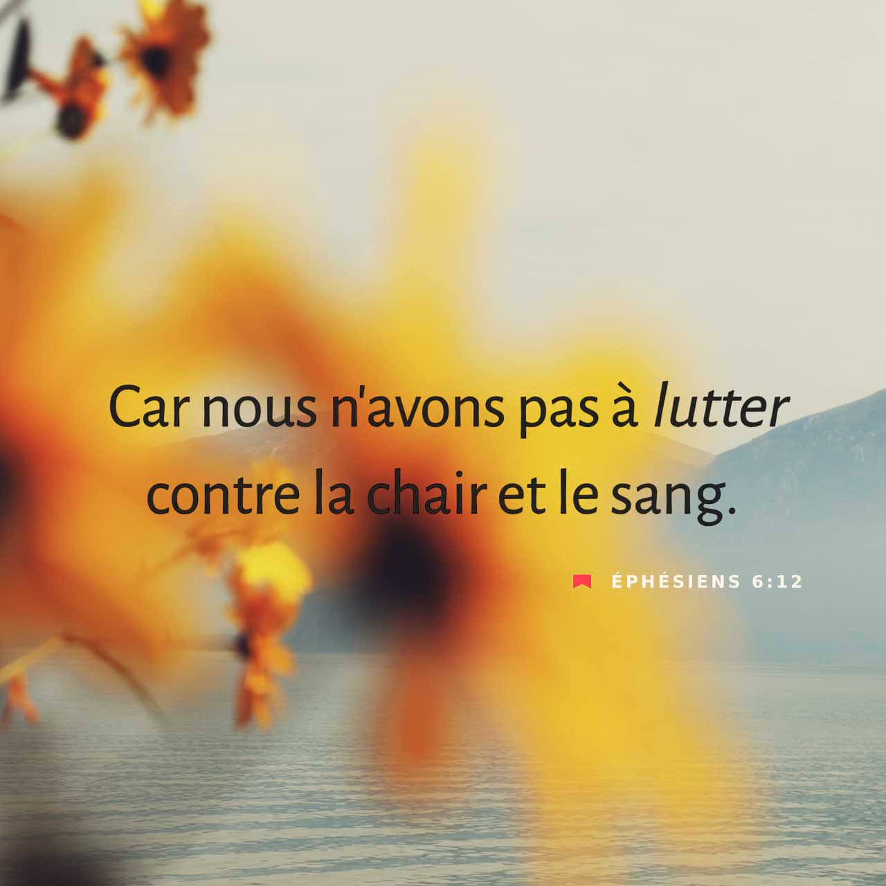 Éphésiens 6:12-17 En effet, ce n'est pas contre l'homme que nous avons ...