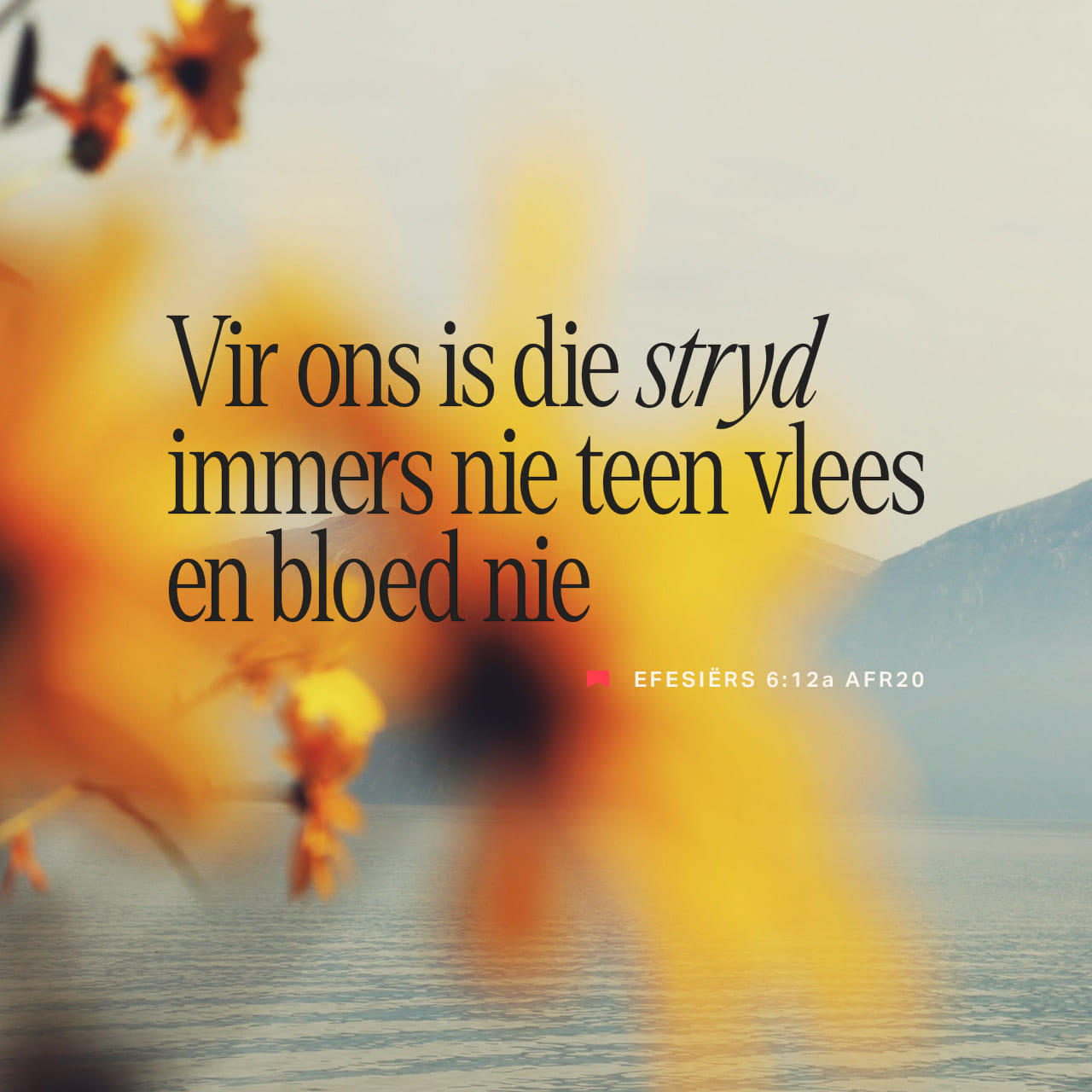 EFESIËRS 6:12 (AFR83) - Ons stryd is nie teen vlees en bloe | YouVersion