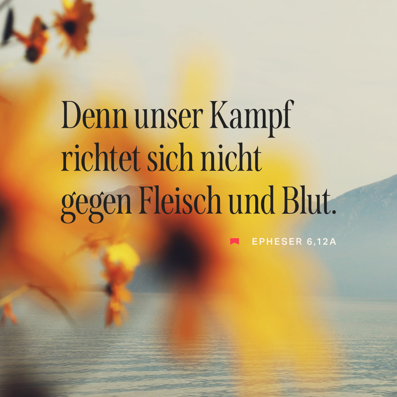 Epheser 6:12 Denn unser Kampf richtet sich nicht gegen Fleisch und Blut ...