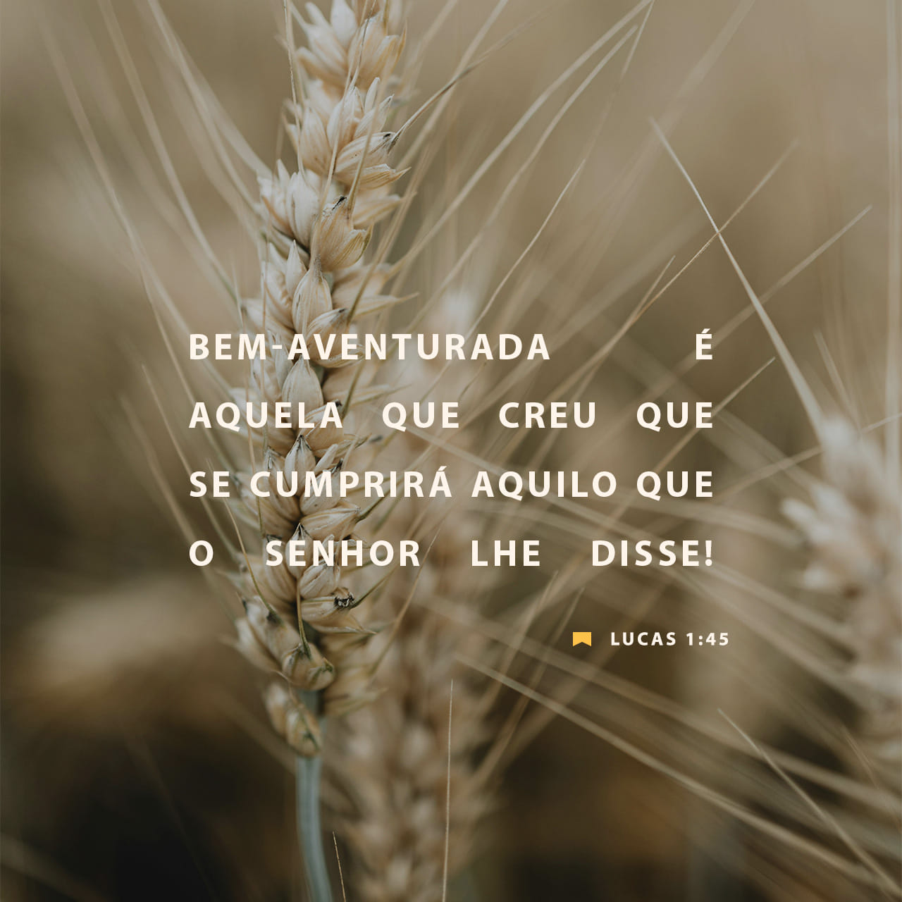 Lucas 1:45 Você é abençoada, pois acredita que vai acontecer o que o ...