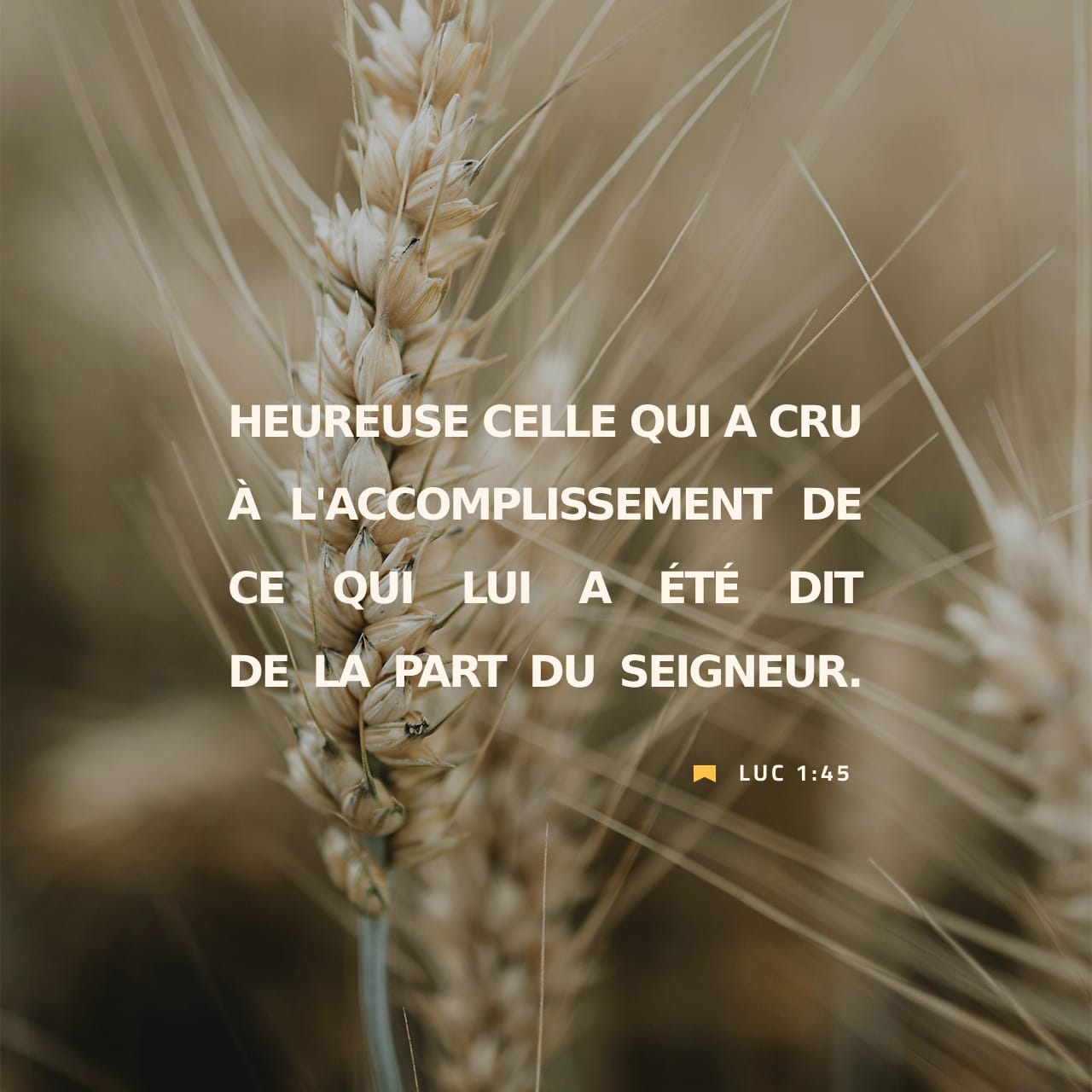 Luc 1:45-49 Heureuse celle qui a cru, parce que les choses qui lui ont ...