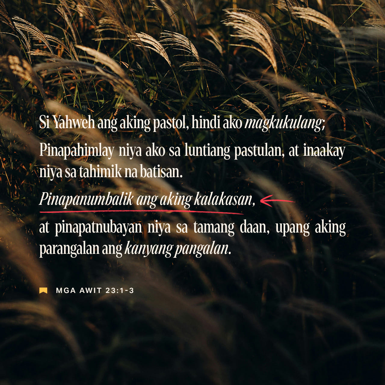 Salmo 23:1-4 Ang PANGINOON ang aking pastol, hindi ako magkukulang ng ...