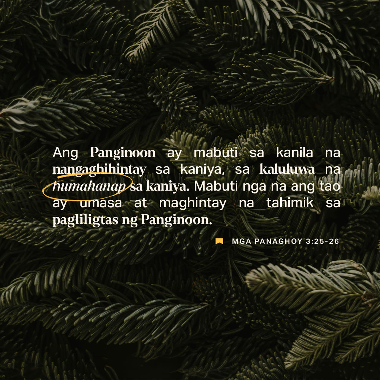 Mga Panaghoy 3:25-29 Si Yahweh ay mabuti sa mga nananalig at umaasa sa ...