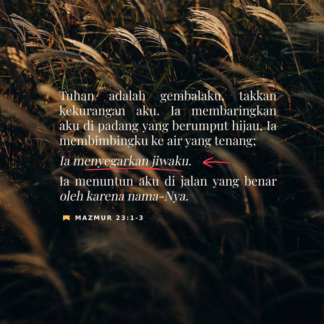 Mazmur 23:1-2 Mazmur Daud. TUHAN adalah gembalaku, takkan kekurangan aku. Ia membaringkan aku di ...