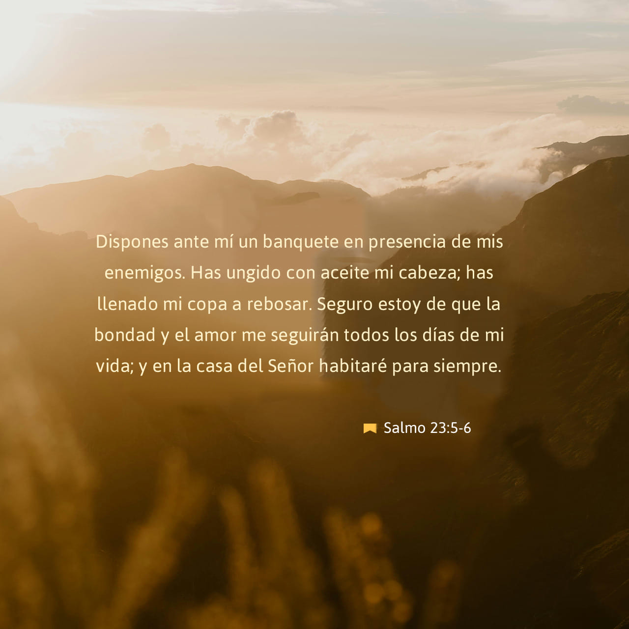 SALMOS 23:5-6 Aderezas mesa delante de mí en presencia de mis ...