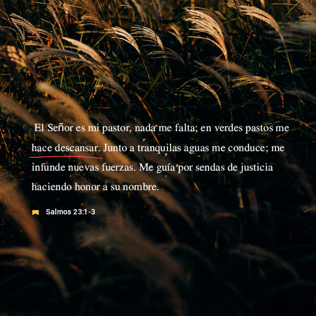 SALMOS 23:1-2 El Señor es mi pastor, nada me falta. En verdes praderas me hace descansar, junto ...