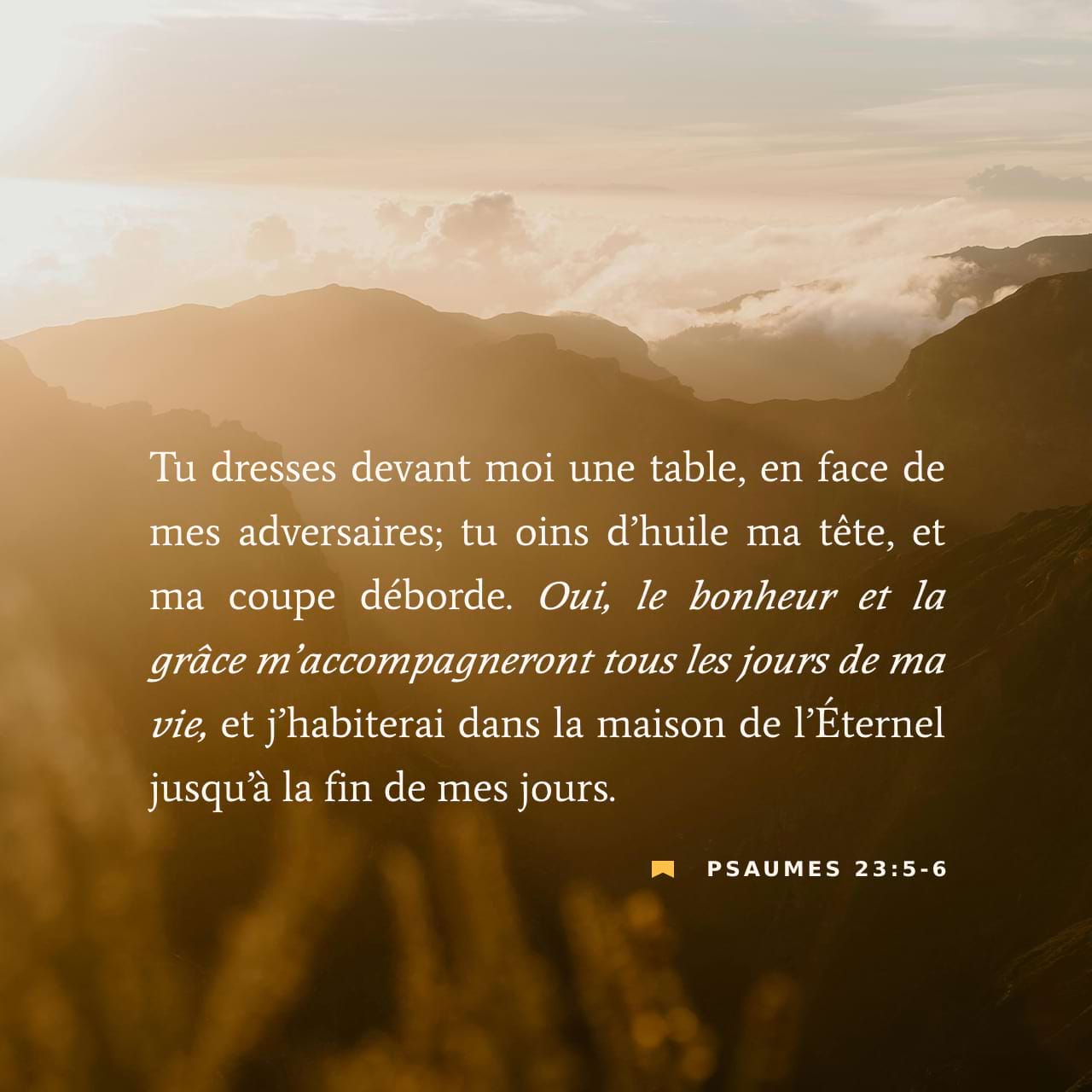 Psaumes 23:6 Oui, tous les jours de ma vie, ton amour m’accompagne, et ...