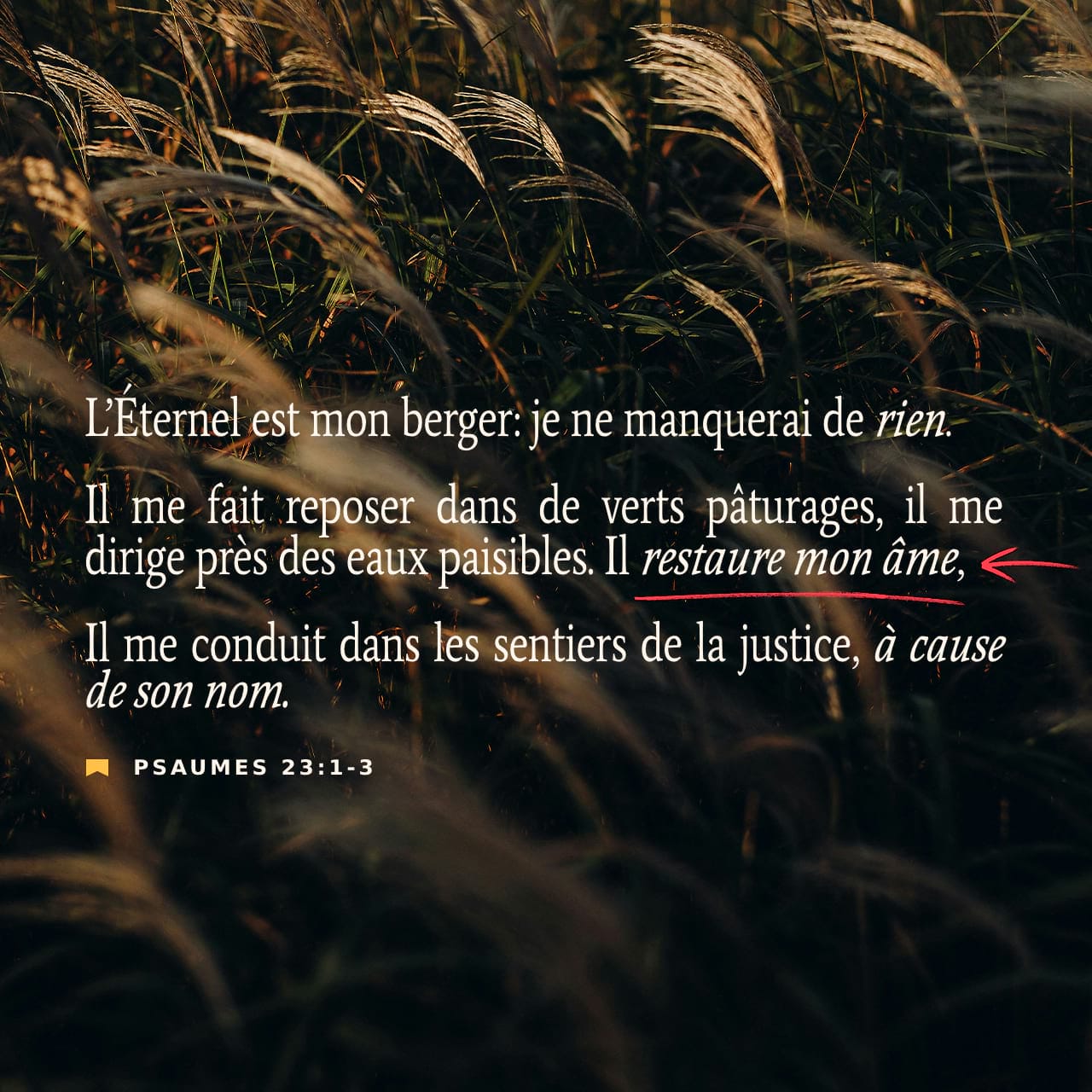 Psaumes 23:1-5 Psaume de David. L’ÉTERNEL est mon berger : je ne manquerai de rien. Il me fait ...