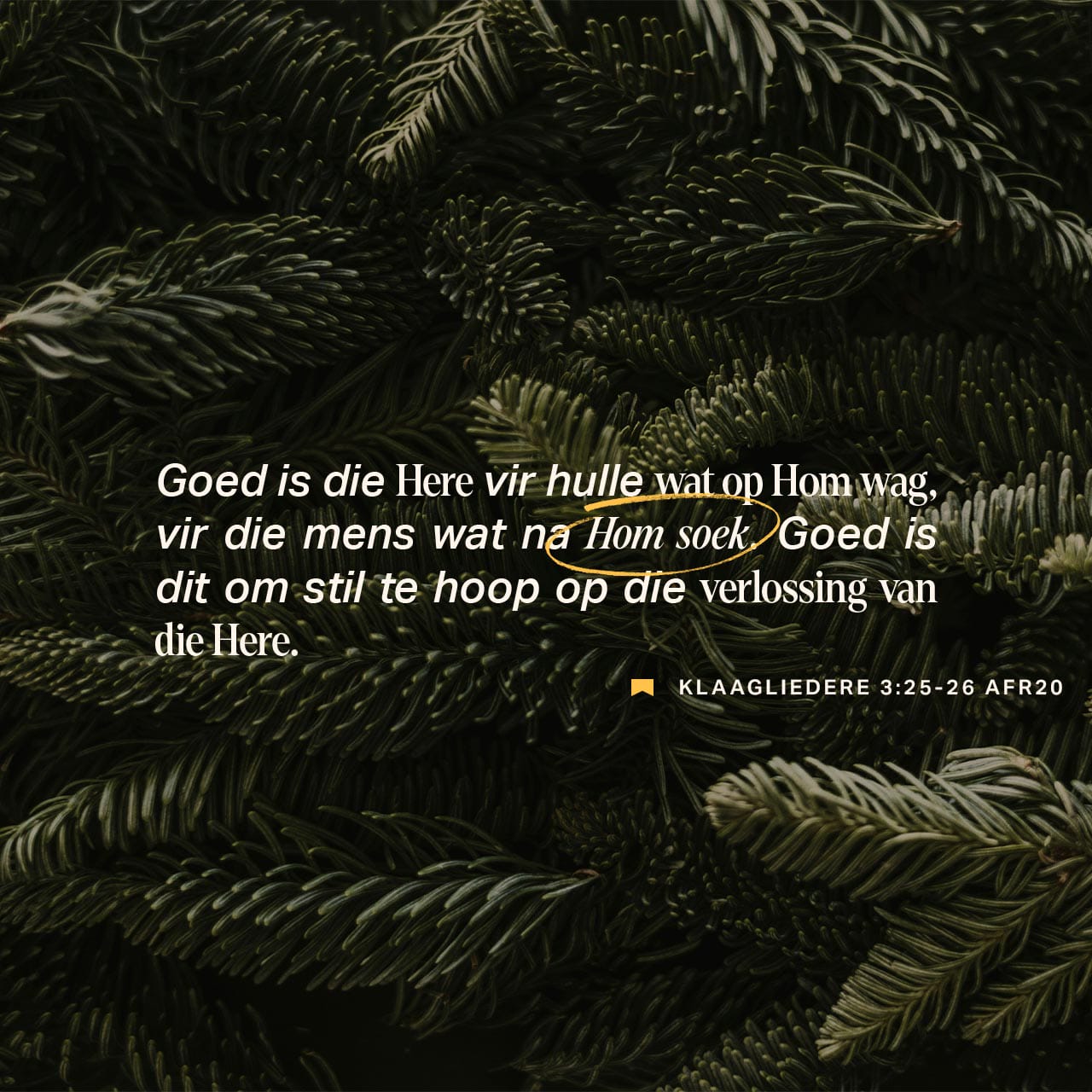 Klaagliedere 3:24-26 Ek sê vir myself: “Ek vertrou die Here, want Hy gee vir my lewe.” Die Here ...