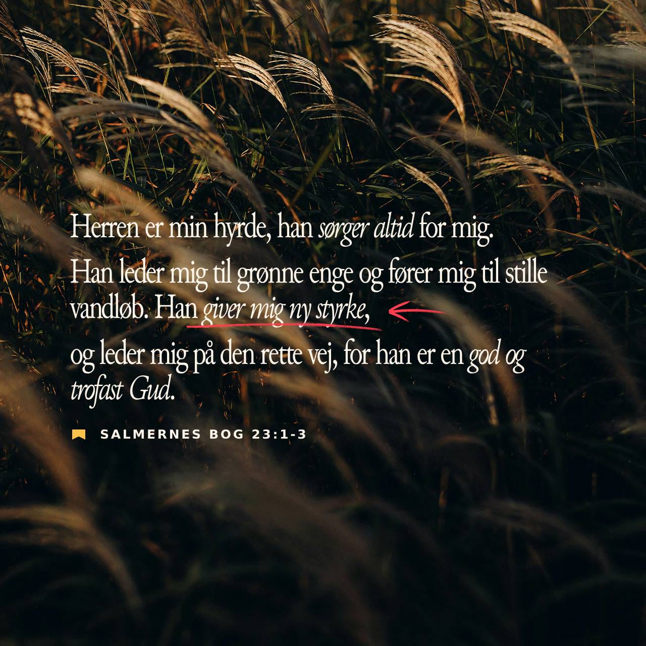 Salmernes Bog 23:2-3 (DA1871) - Han lader mig ligge i skønne Græsga ...
