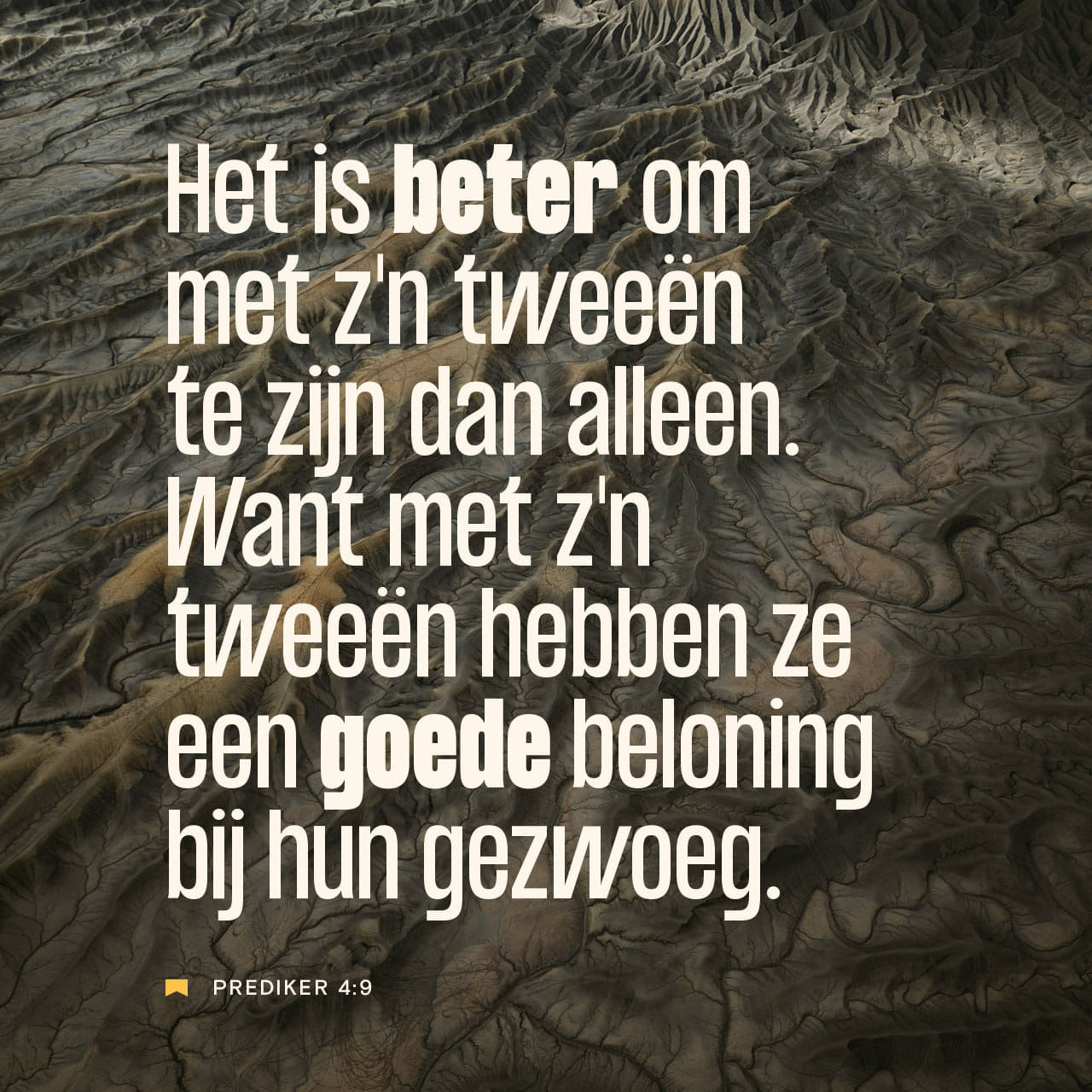 De Zuivering Beleefde Vreemdeling Citaten