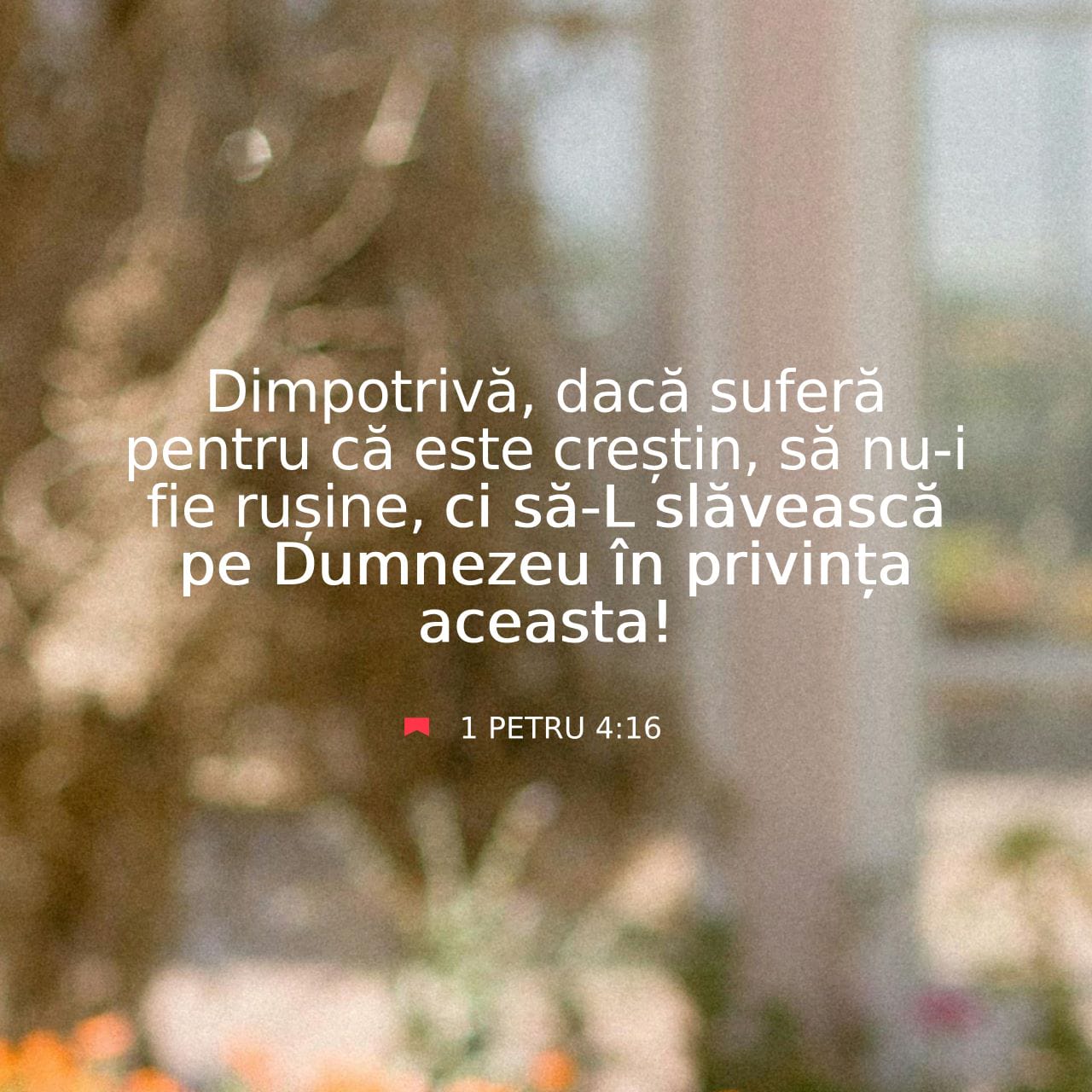 1 Petru 4:16 (NTR) - Însă, dacă vreunul dintre voi sufer | YouVersion