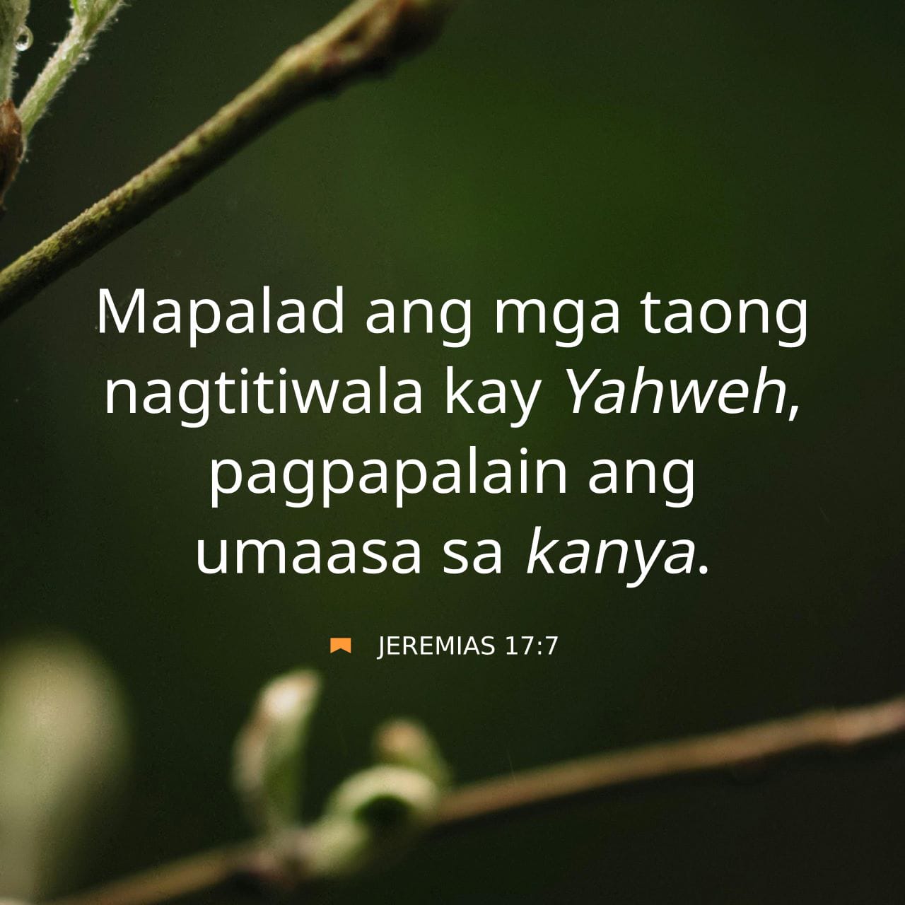 Jeremias 17:7 (RTPV05) - “Mapalad ang mga taong nagtitiwala | YouVersion