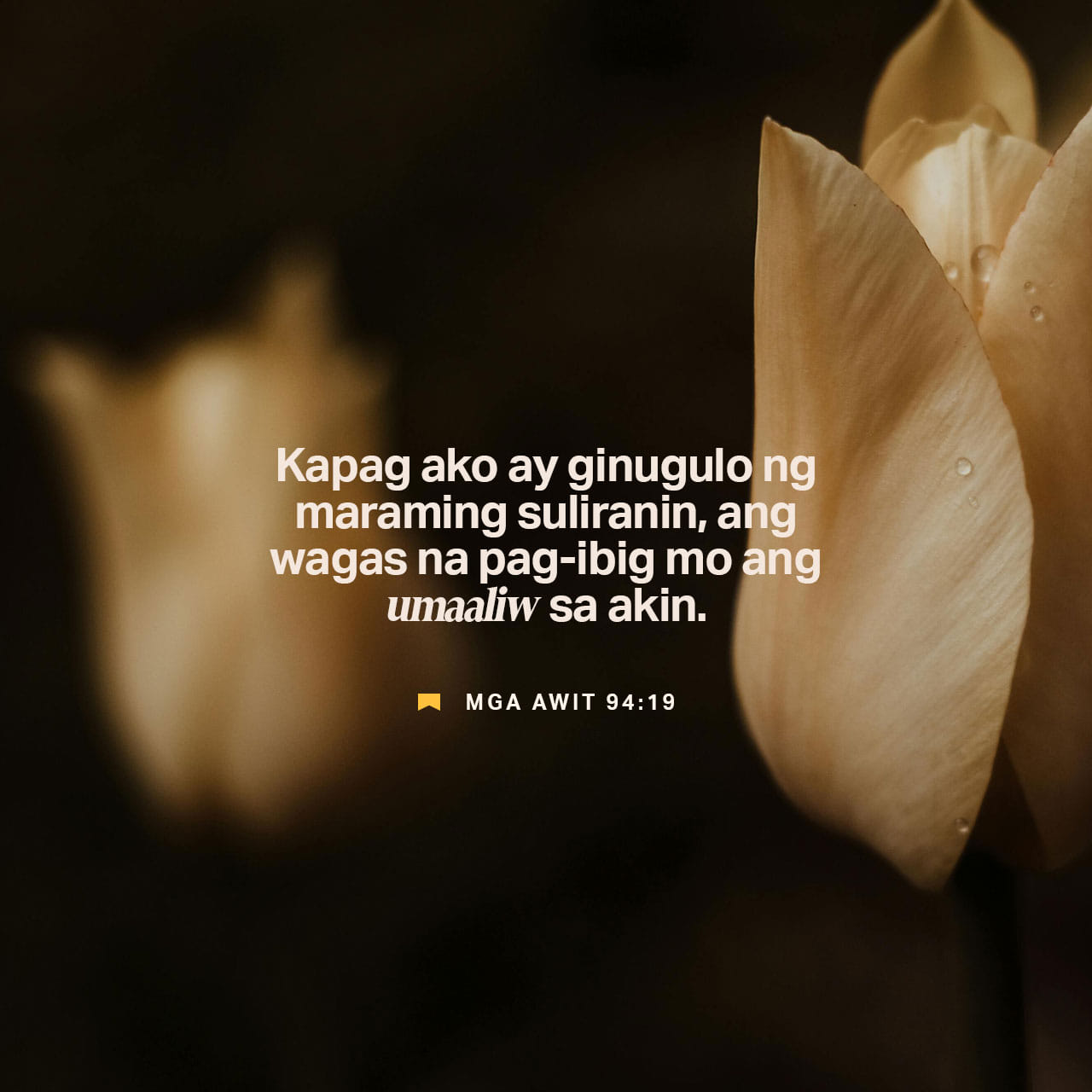 Mga Awit 94:19 Kapag ako ay ginugulo ng maraming suliranin, ang wagas ...