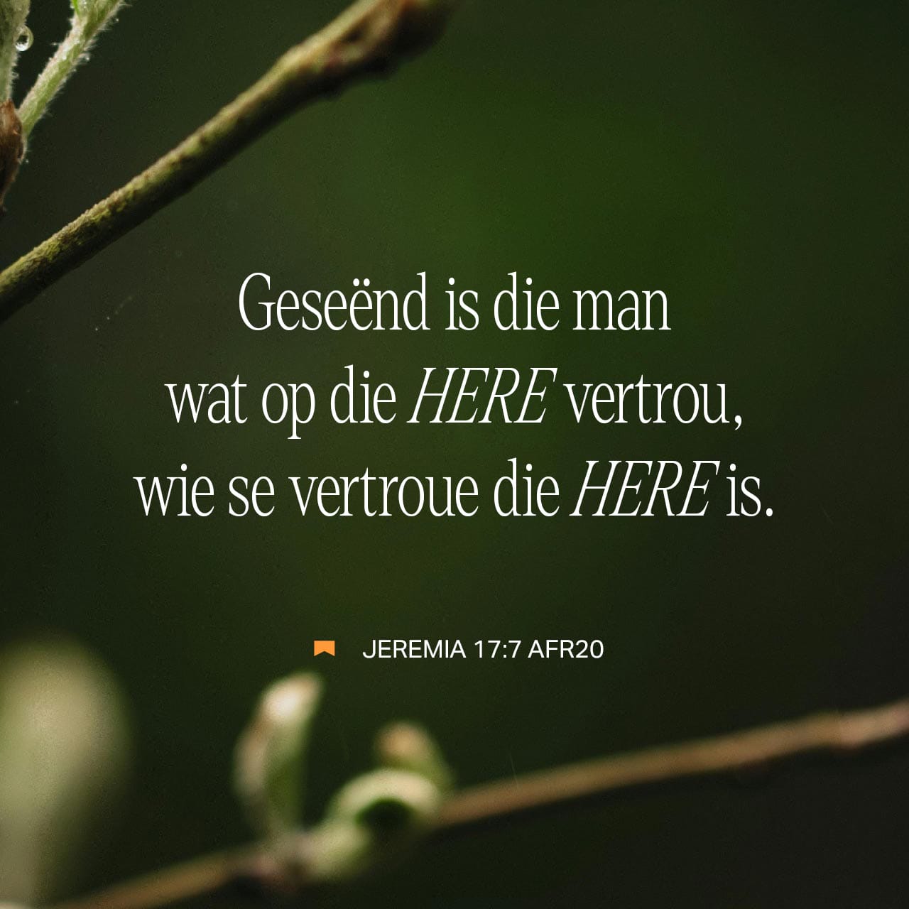 Jeremia 17:7 Geseënd is die man wat op die HERE vertrou, wie se ...