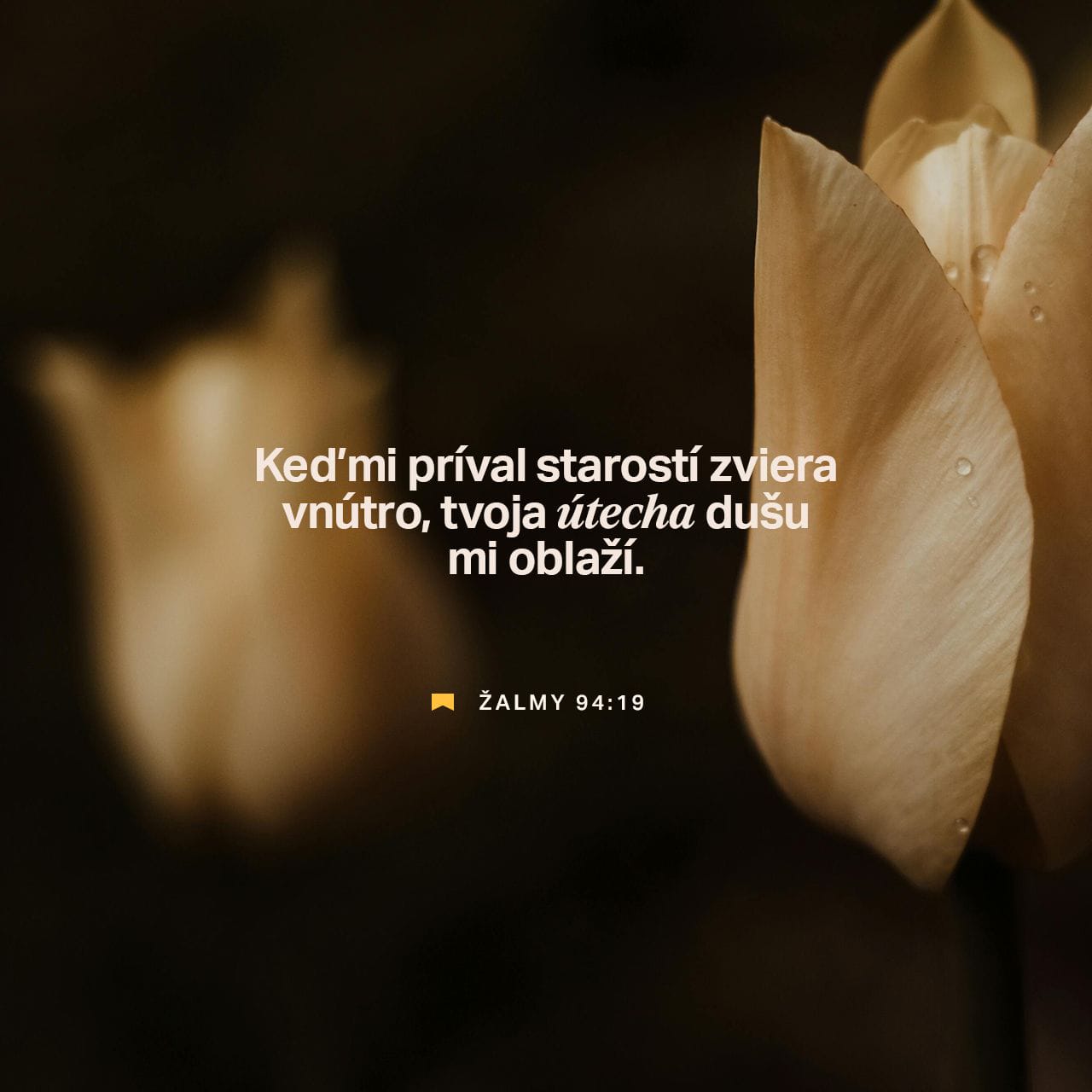 Žalmy 94:18-19 Ledva poviem: „Noha sa mi potkýna,“ hneď ma, Pane ...