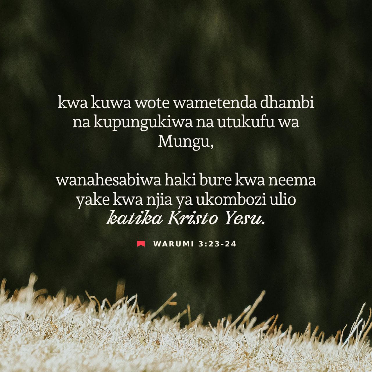 Warumi 3:23-24 kwa kuwa wote wametenda dhambi na kupungukiwa na utukufu ...