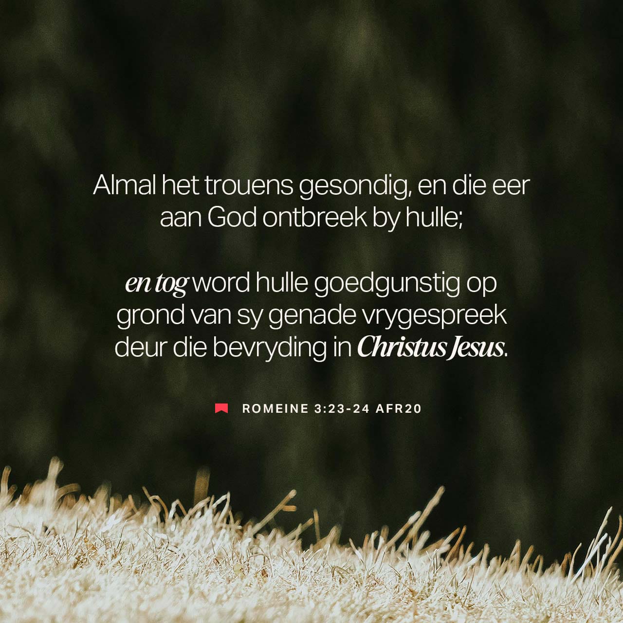 ROMEINE 3:24-25 en hulle word deur sy genade sonder verdienste geregverdig deur die verlossing ...