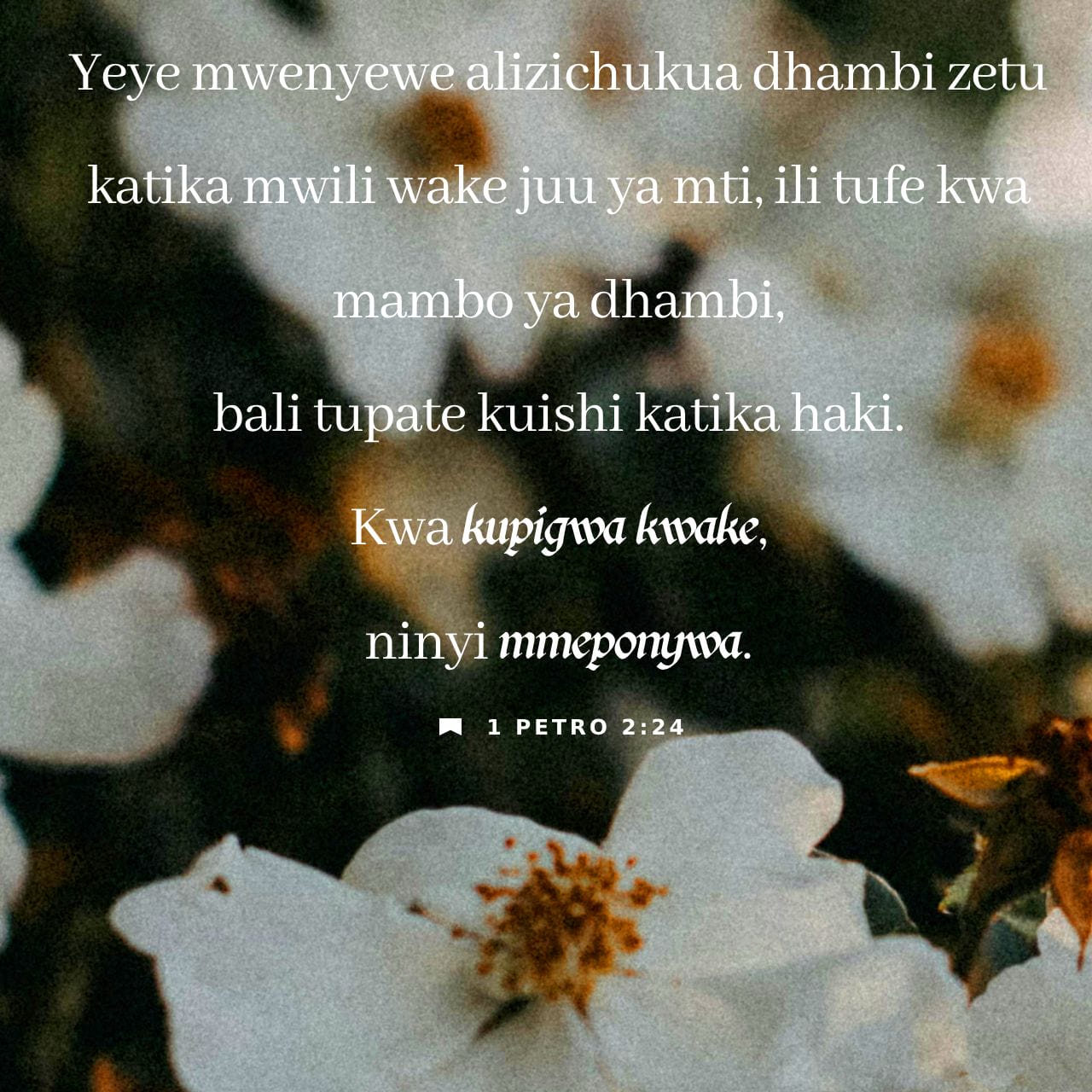 1 Petro 2:24 Yeye mwenyewe alizibeba dhambi zetu katika mwili wake juu ...