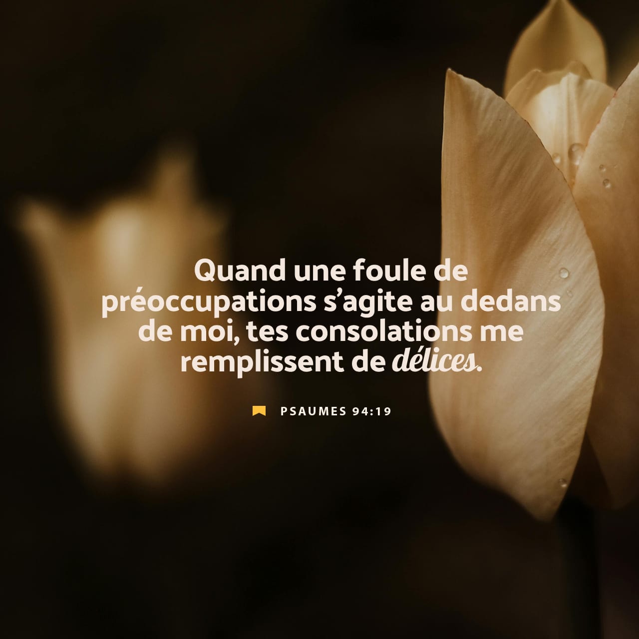 Psaumes 94:19 Quand j’ai la tête pleine de soucis, tu m’encourages, et ...