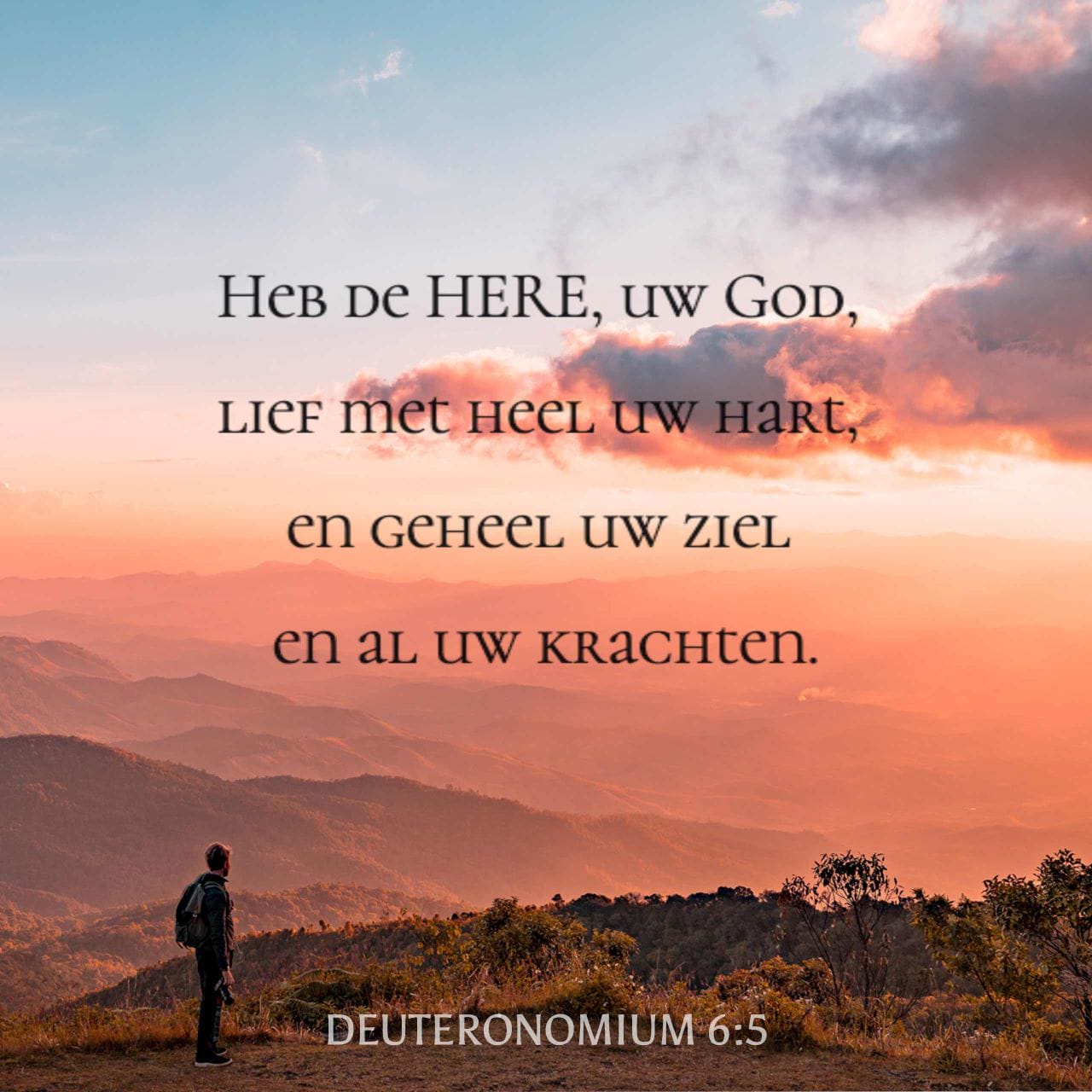 Deuteronomium 6:5 Je zult de HEERE, je GOD, liefhebben met heel je hart ...