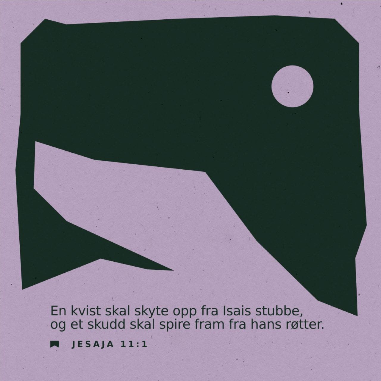 Jesaja 11:1 En kvist skal skyte opp fra Isais stubbe, og et skudd skal ...
