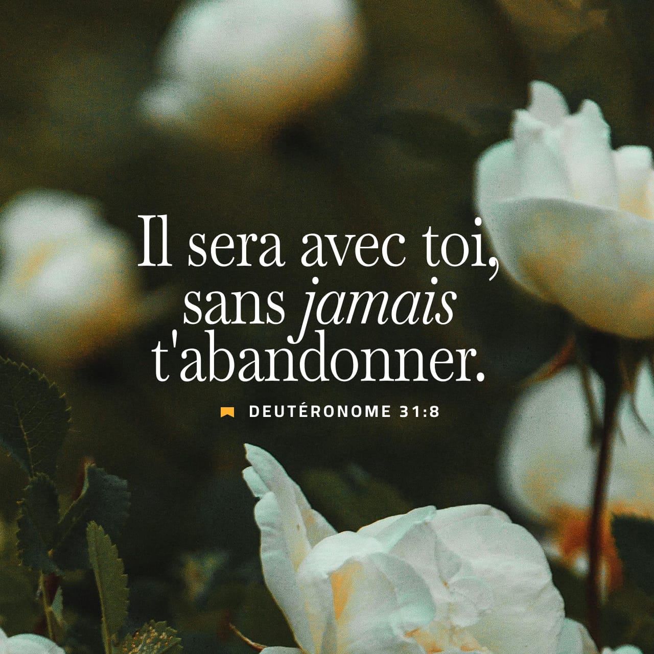 Deutéronome 31:8-12 Le SEIGNEUR marchera devant toi, il sera avec toi ...