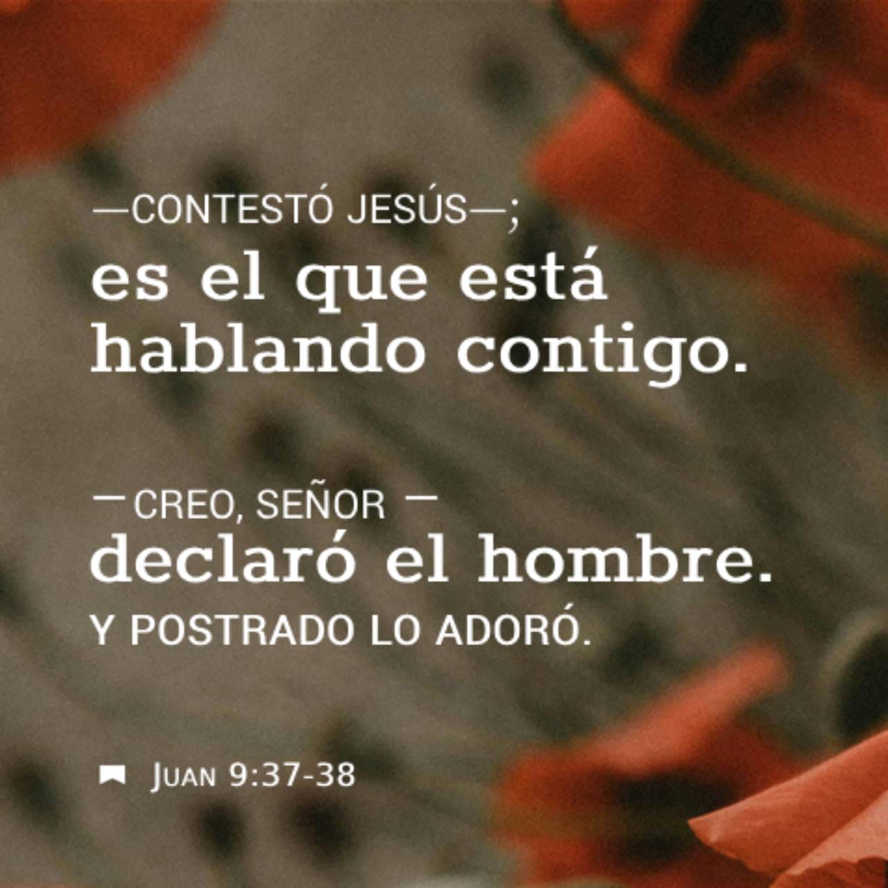 Juan 9:37-38 Jesús le dijo: —Lo has visto, y el que habla contigo, él ...
