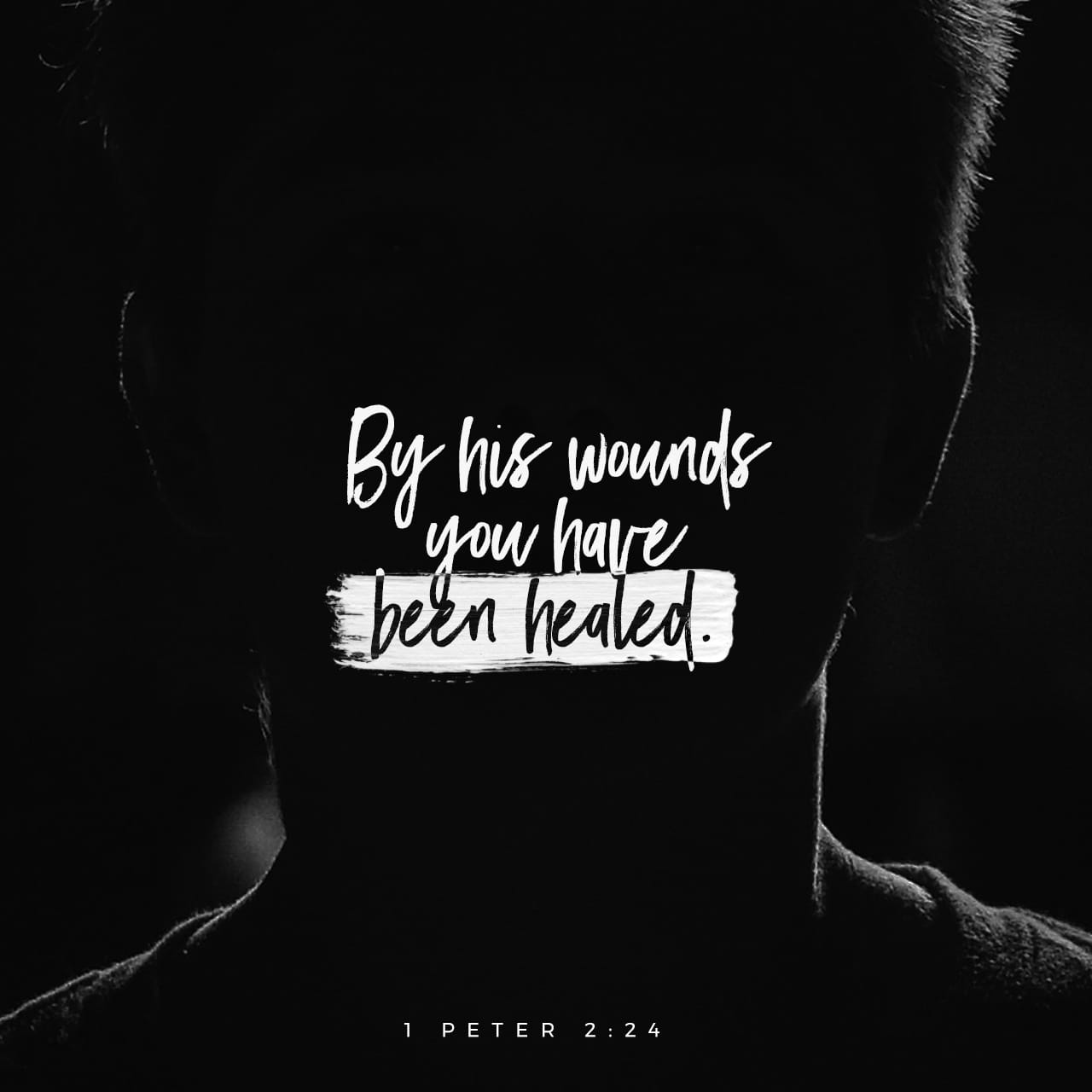 1 Peter 2:23-24 who, when he was reviled, reviled not again; when he ...