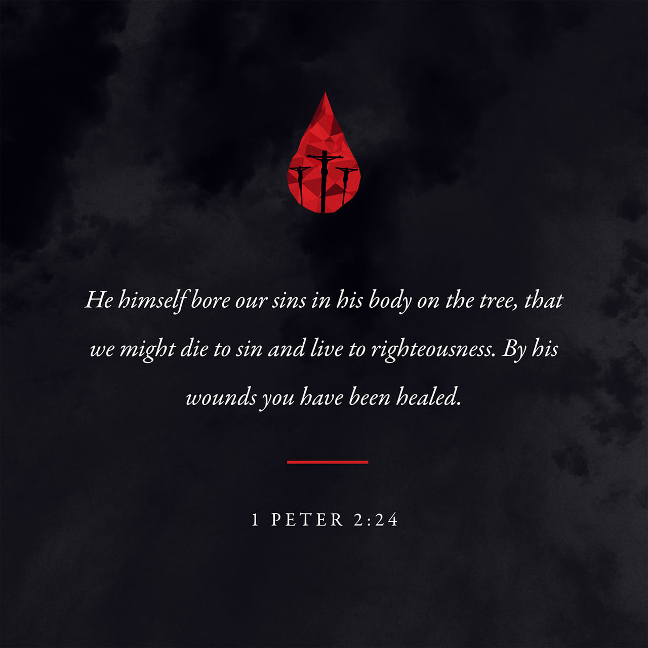 1 Peter 2 24 Who His Own Self Bare Our Sins In His Own Body On The Tree