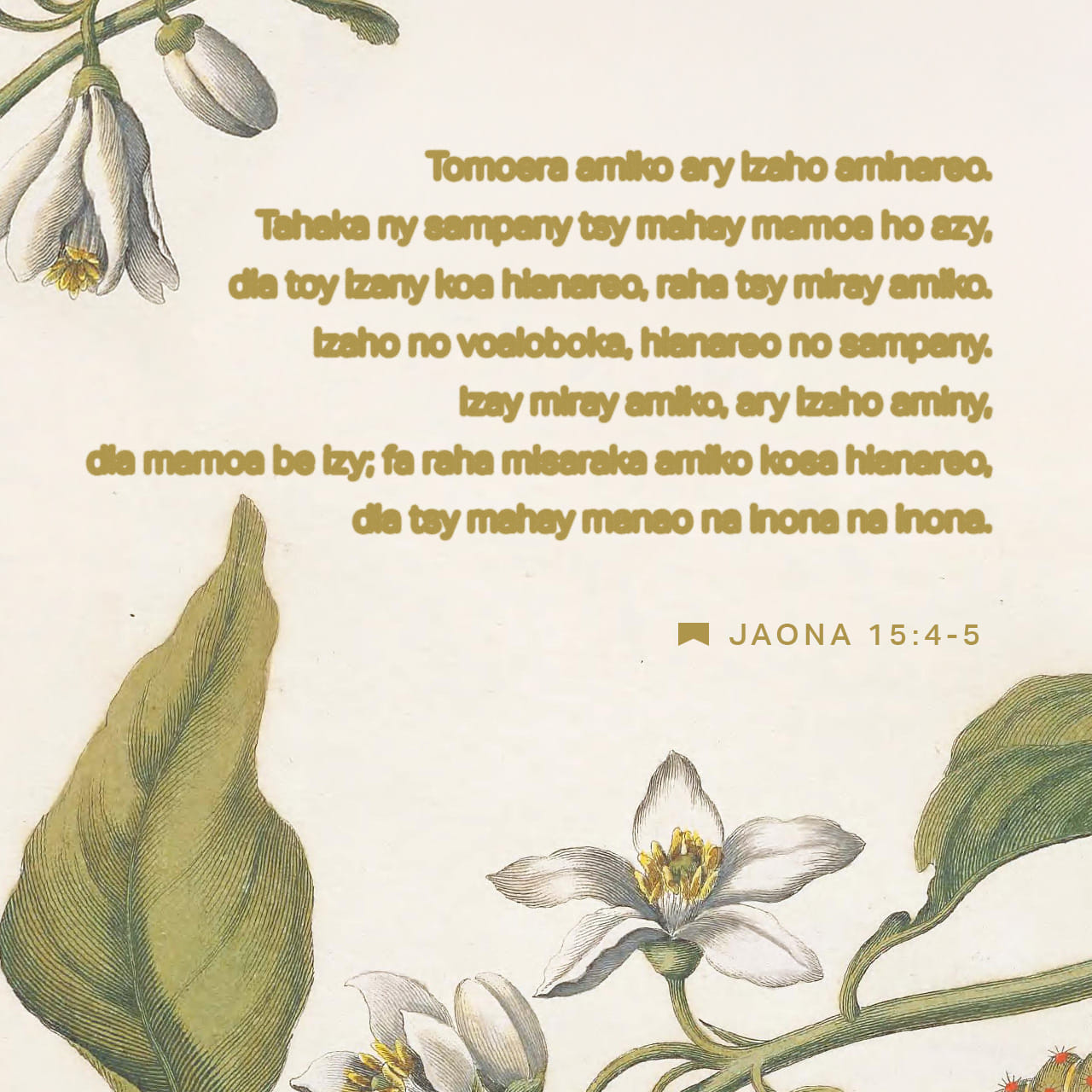 Jaona 15:5-8 (MG1865) - Izaho no voaloboka, ianareo no samp | YouVersion