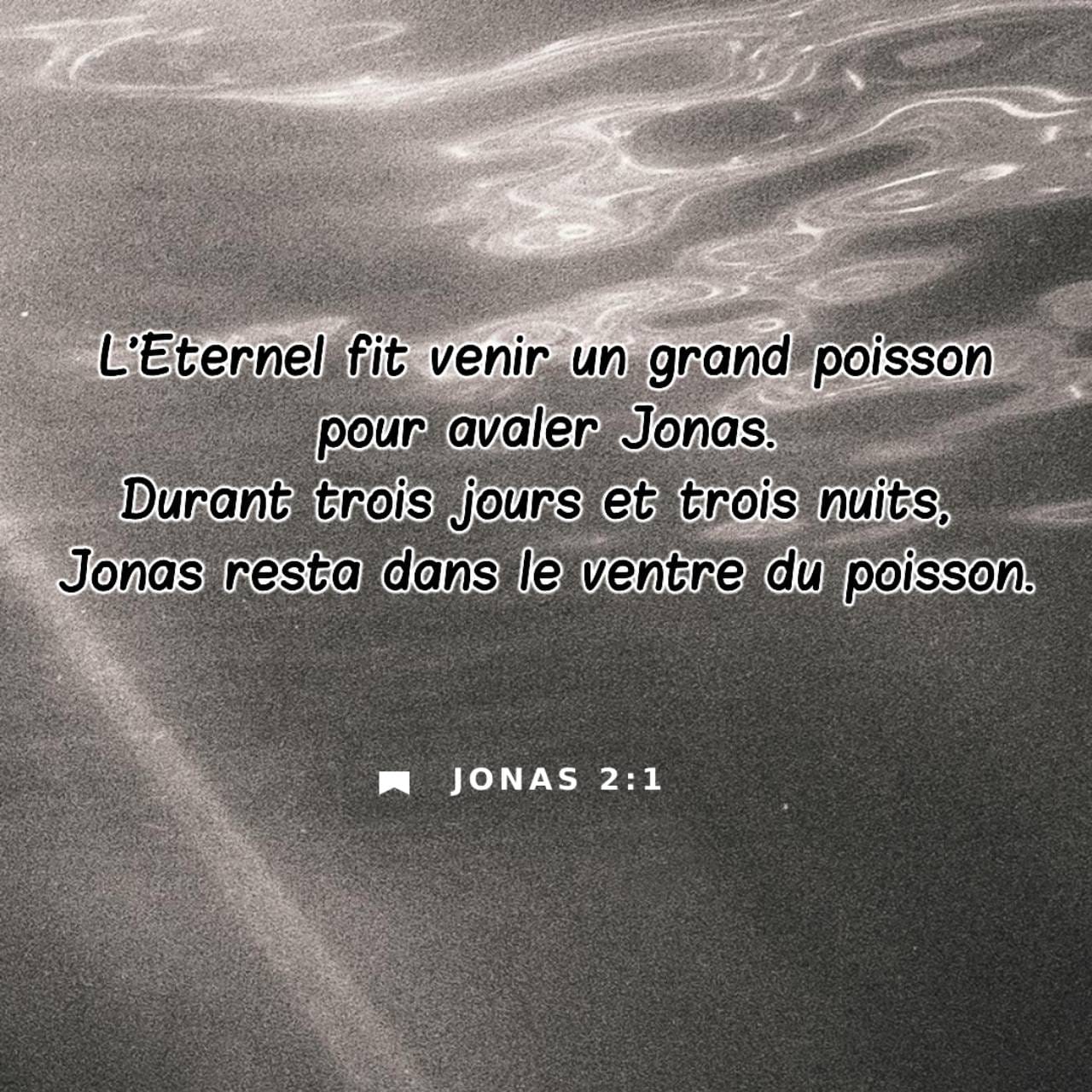 Jonas 2:1 Le SEIGNEUR envoie un grand poisson pour avaler Jonas. Jonas ...