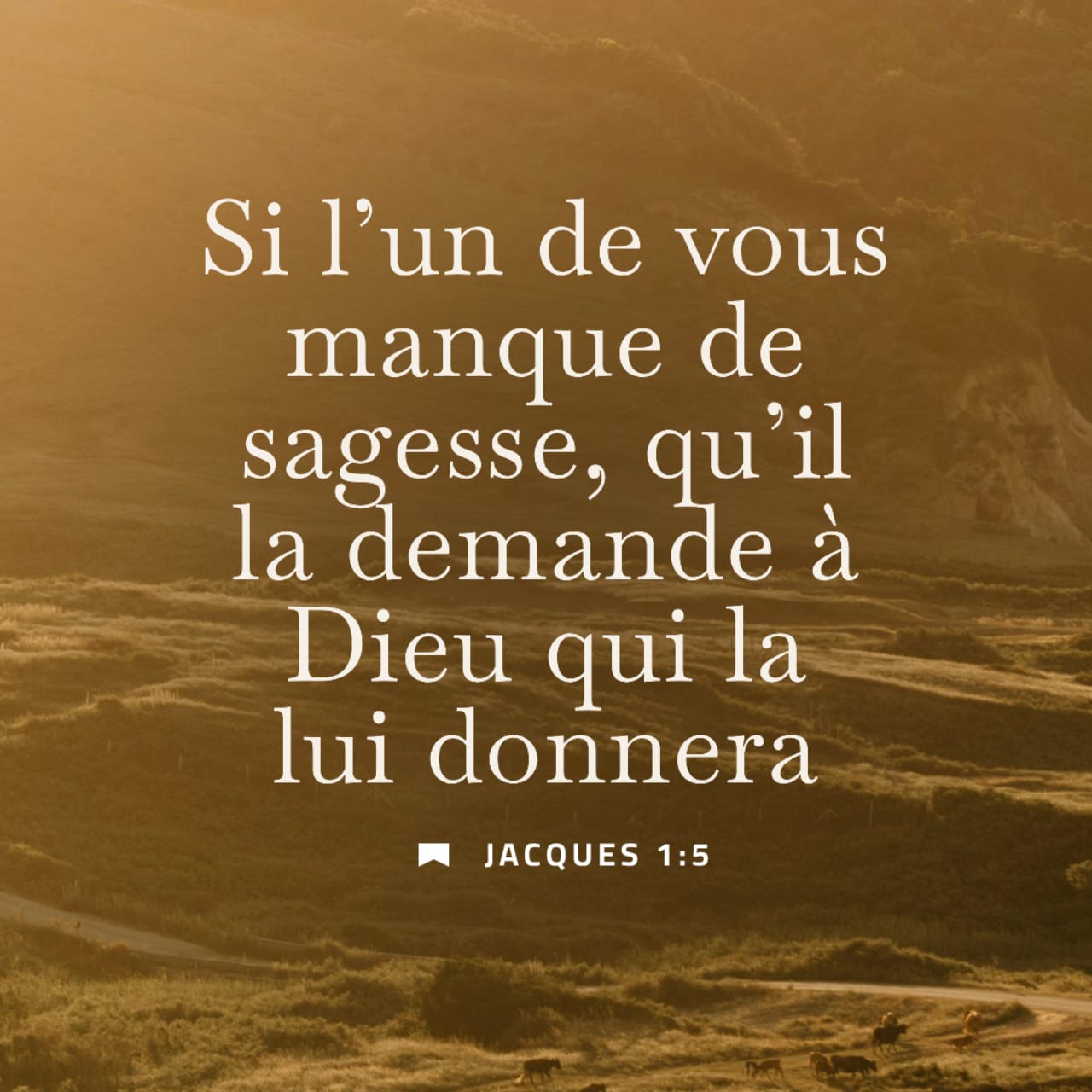 Jacques 1:5 Si quelqu’un parmi vous manque de sagesse, il doit la ...