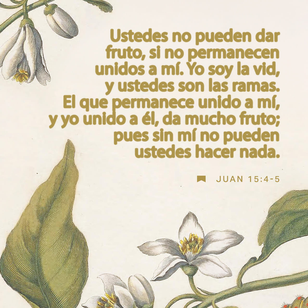 SAN JUAN 15:4-5, 8 Permaneced en mí, y yo en vosotros. Como el pámpano no puede llevar fruto por ...