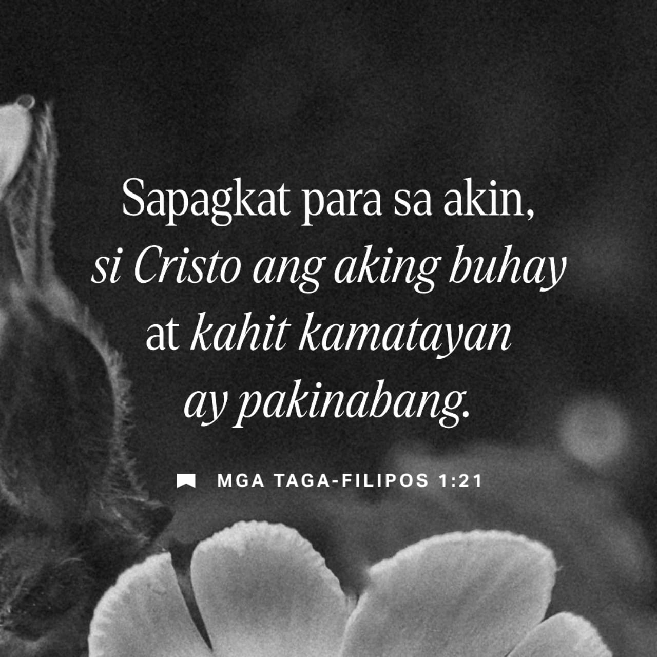 Mga Taga-Filipos 1:20-21 (RTPV05) - Ang aking pinakananais at inaasahan ...