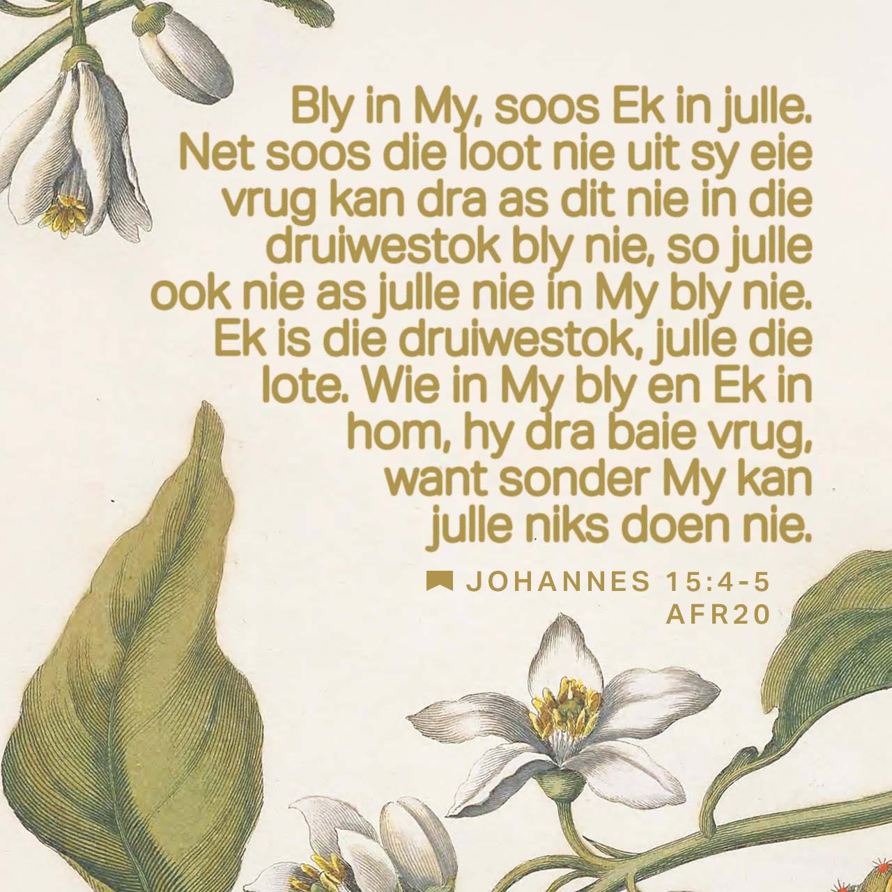 JOHANNES 15:5 Ek is die wingerdstok. Julle is die lote. As julle by My ...