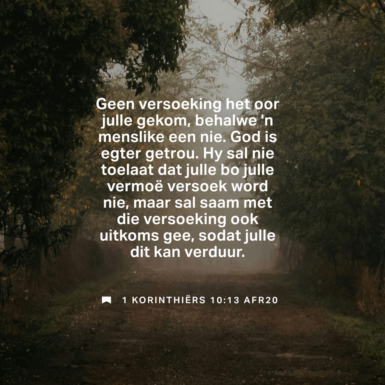 Krigsengler I Bibelen Philipper 2: 10 11 Jedes Knie Soll Sich Beugen,