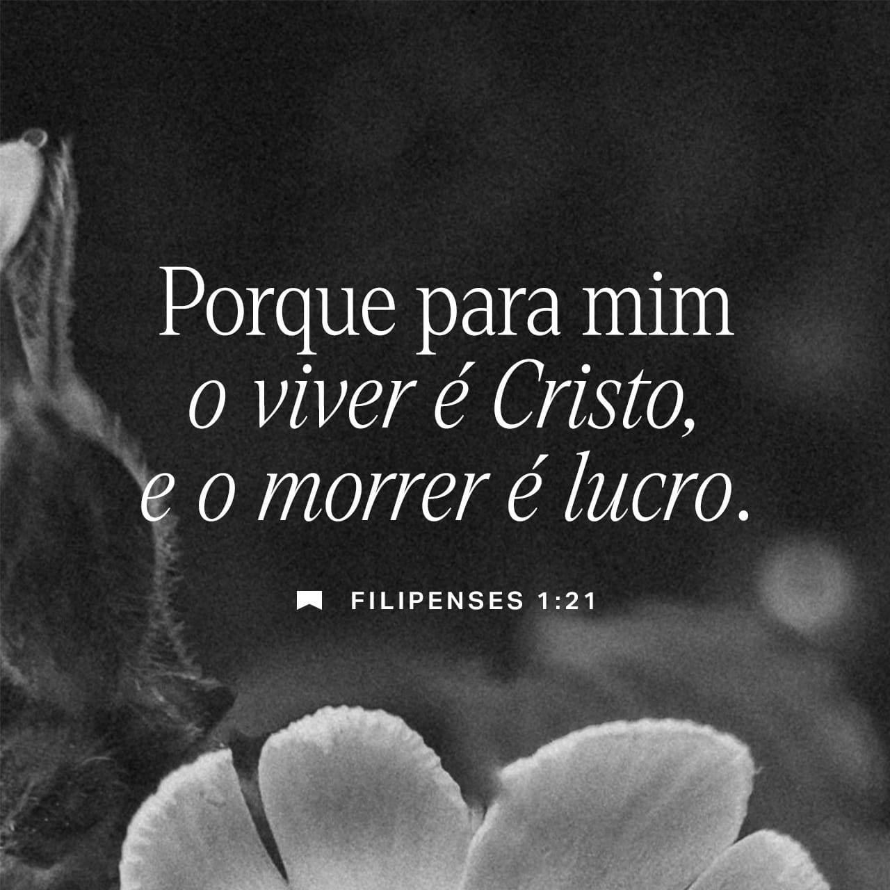 Filipenses 1:21-24 Porque para mim o viver é Cristo, e o morrer é ganho. Mas, se o viver na ...