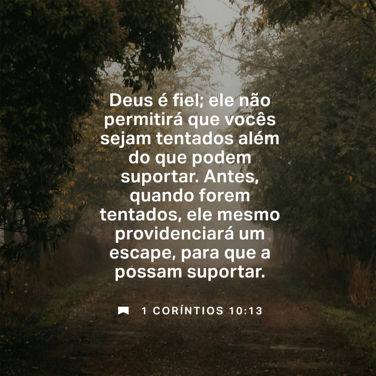 1 Corintios 10 13 Verso Do Dia Devocional 1 Coríntios 10:13