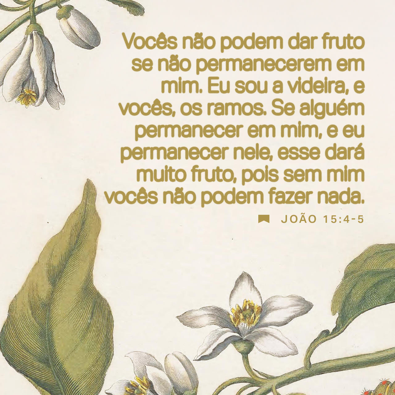 João 15:4 (NVT) - Permaneçam em mim, e eu permanecere | YouVersion