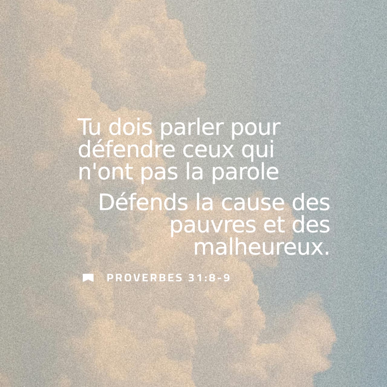 Proverbes 31:8-9 (BFC) - Mais toi, tu dois parler pour défen | YouVersion