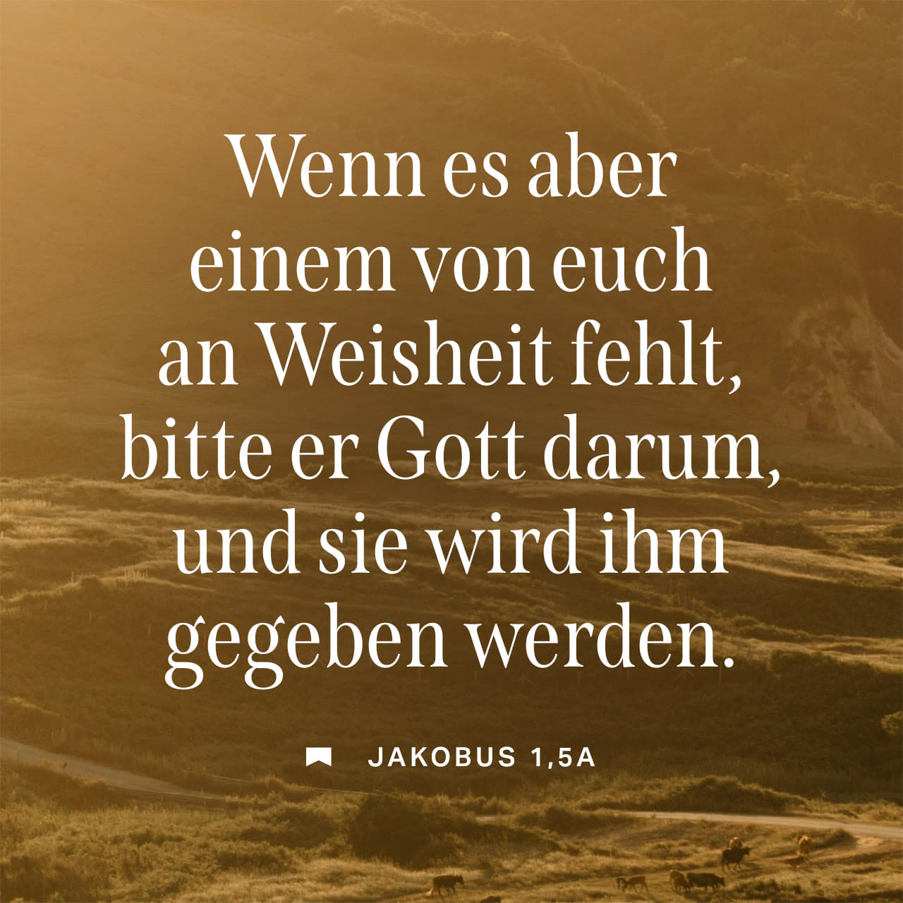 Jakobus 1:5 (Hfa) - Wenn es jemandem von euch an Weishe | YouVersion