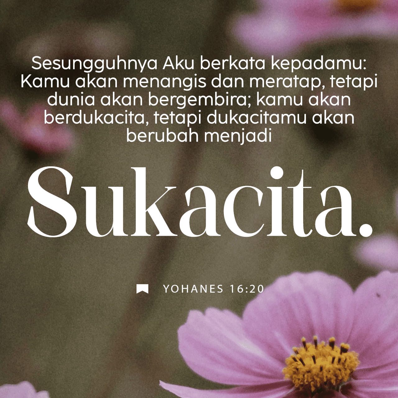 Yohanes 16:20 Aku berkata kepadamu: Sesungguhnya kamu akan menangis dan ...